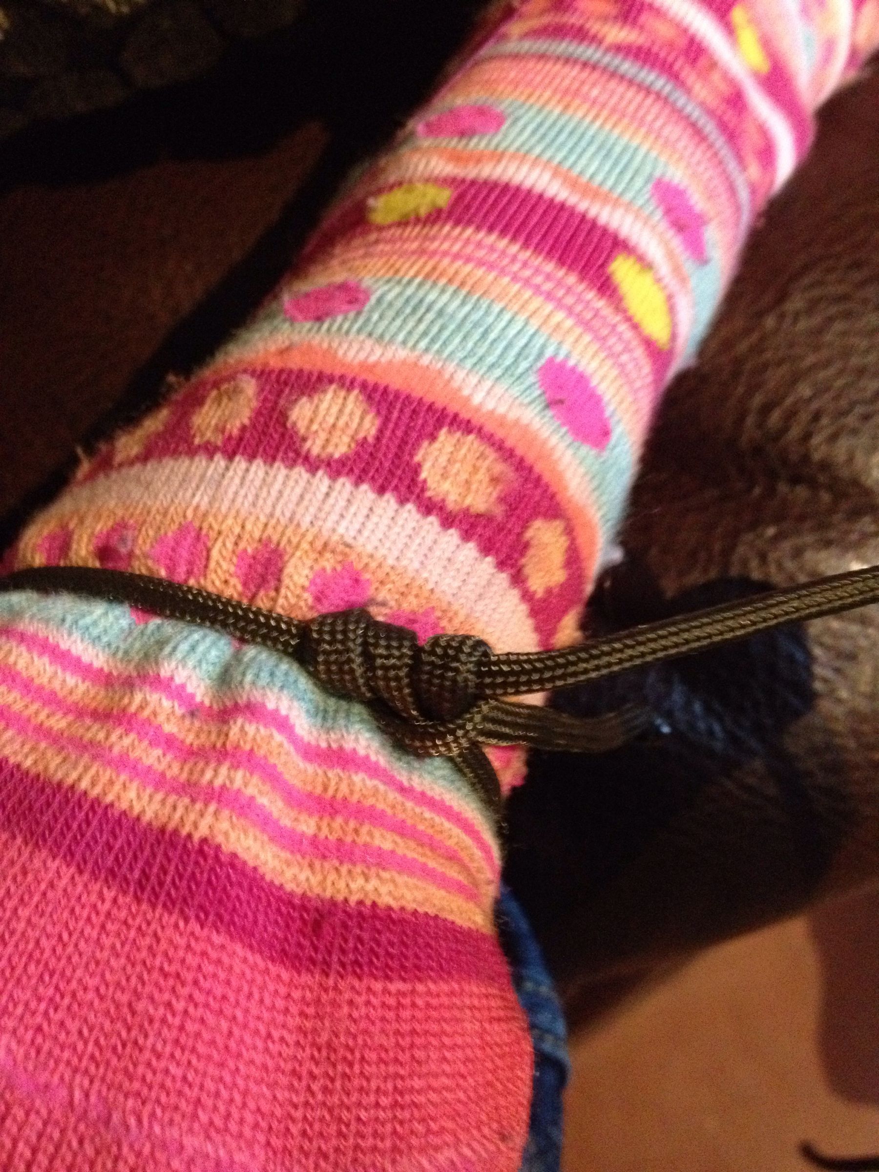 How to Tie a Tautline Hitch : 4 Steps - Instructables