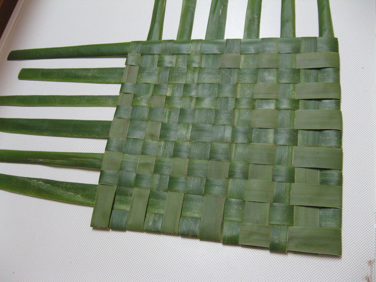 How to Weave a Small Mat From Coconut Leaves : 4 Steps (with Pictures ...