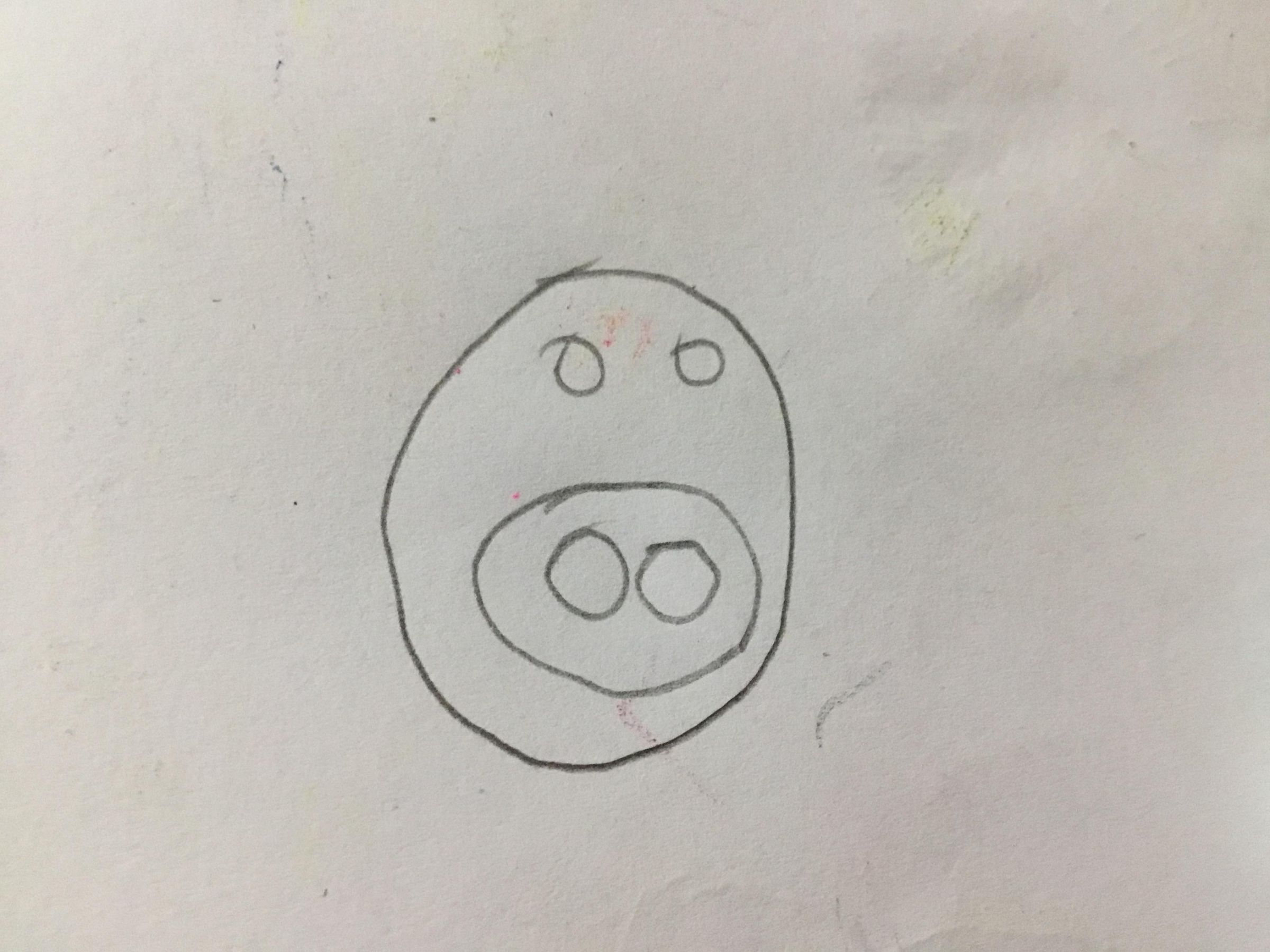 How To Draw A Flying Pig