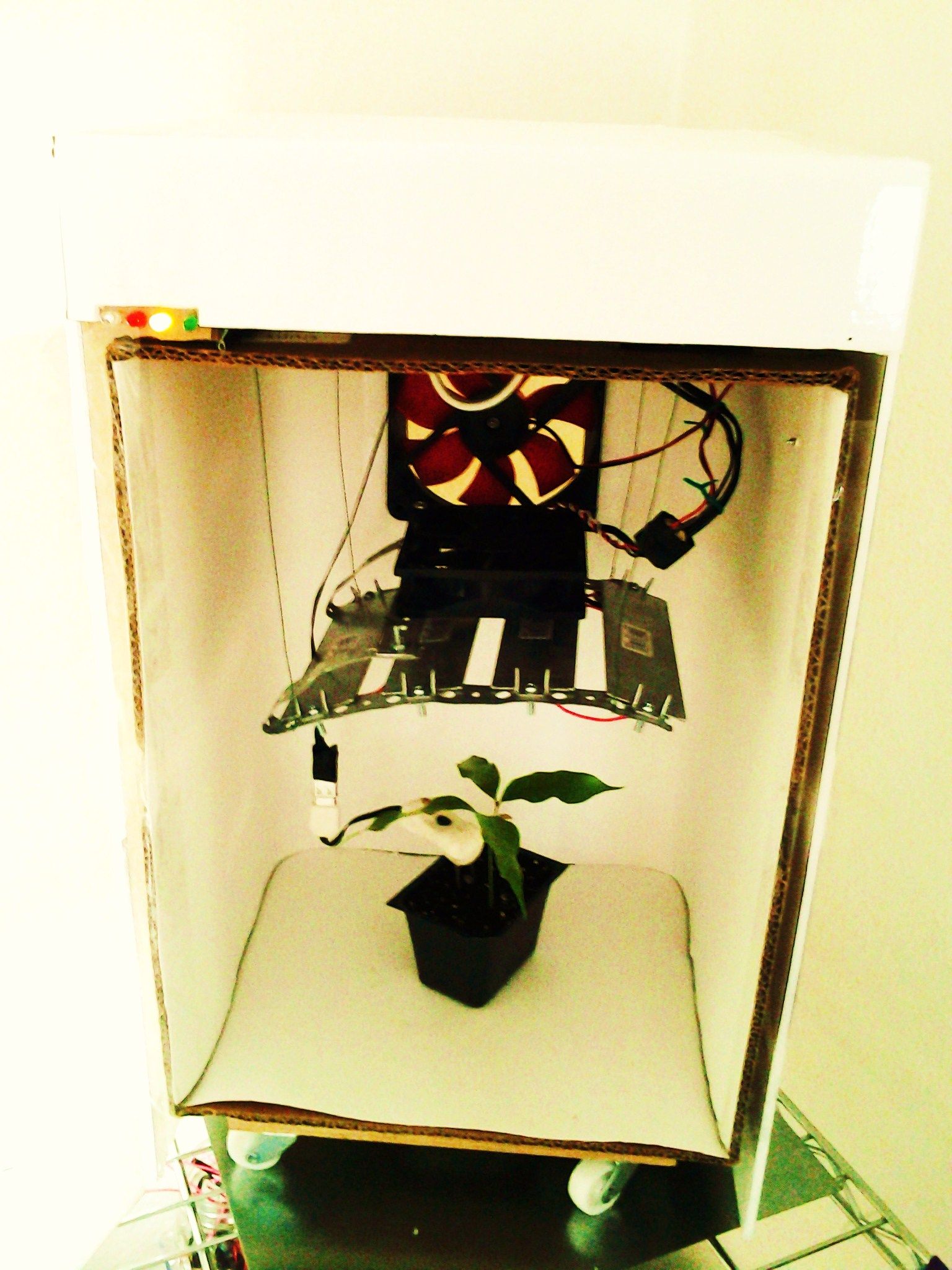 The Plant Box : 6 Steps - Instructables
