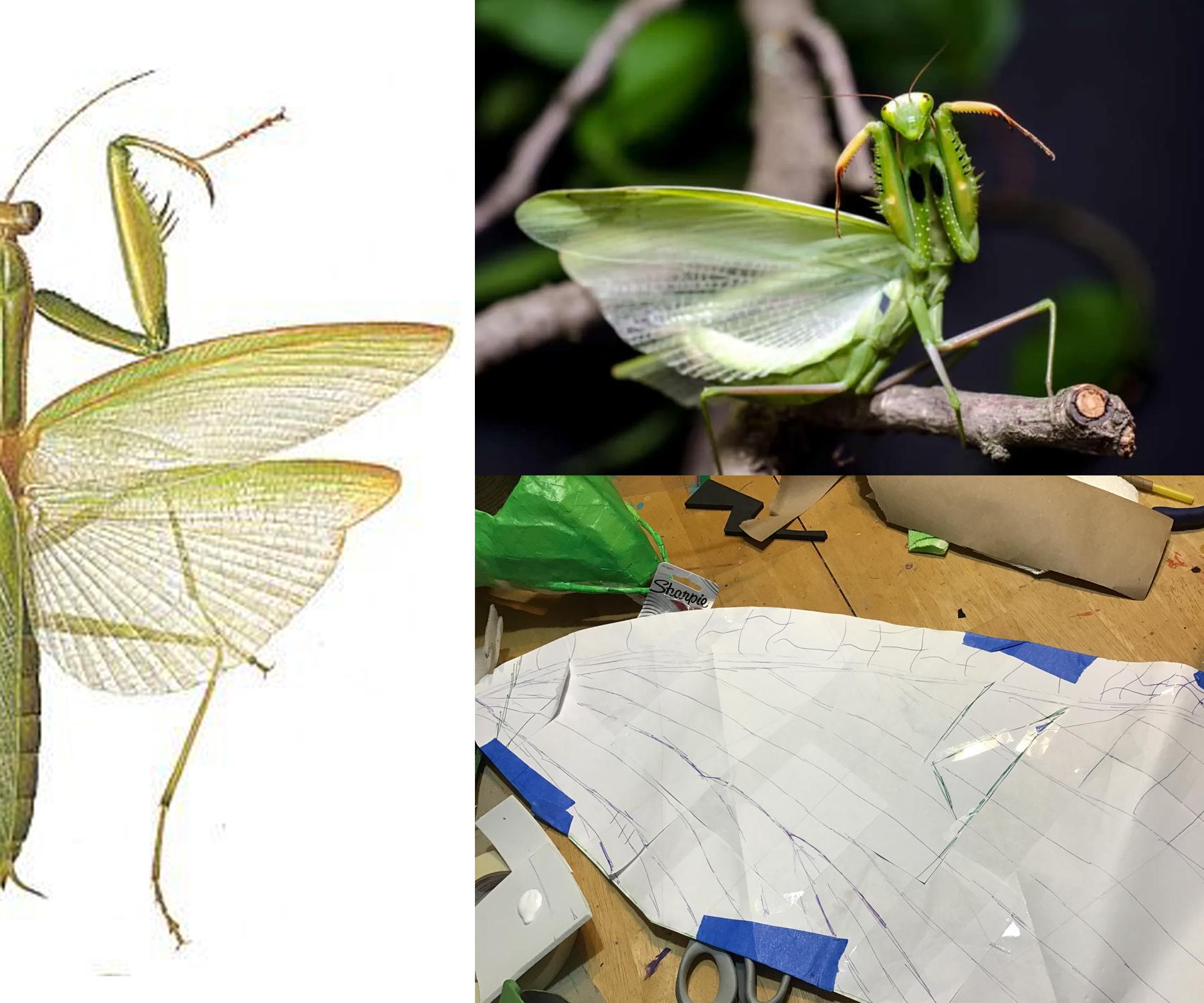Praying Mantis Costume : 15 Steps (with Pictures) - Instructables