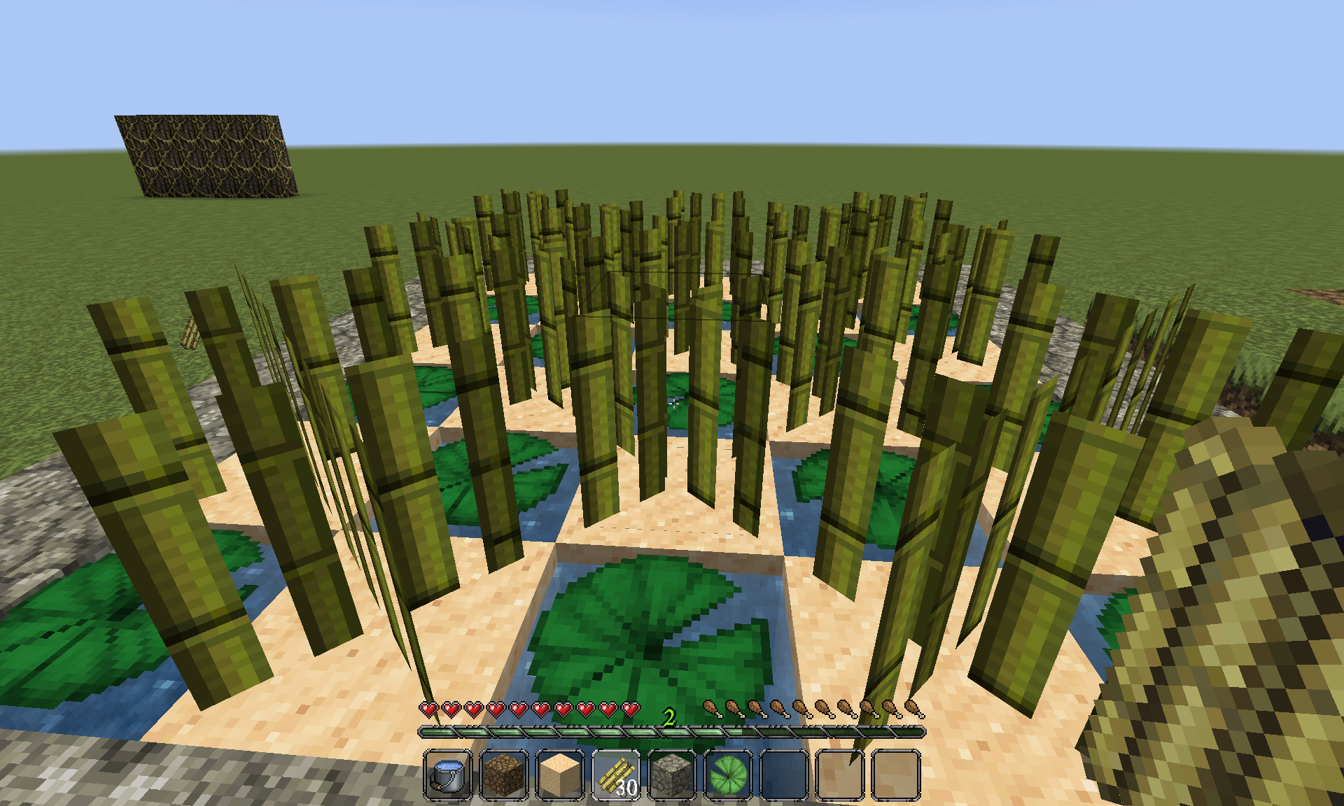 Minecraft Farming 101 : 6 Steps - Instructables