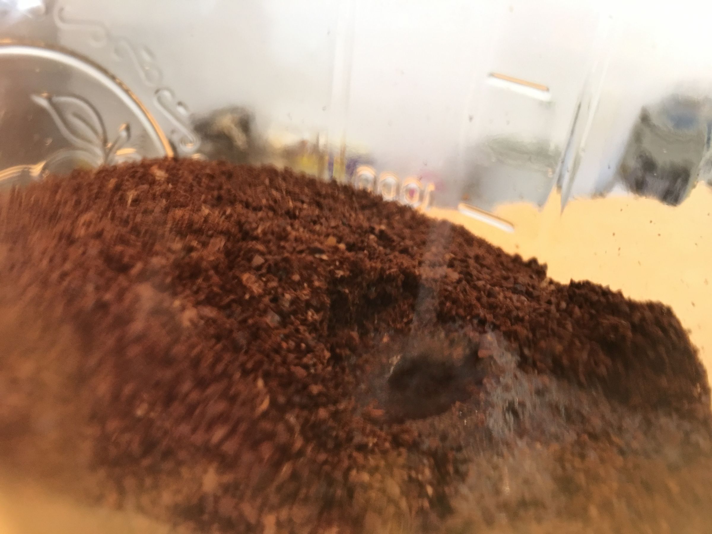 Meth Lab Cold Brew Coffee Method : 6 Steps - Instructables