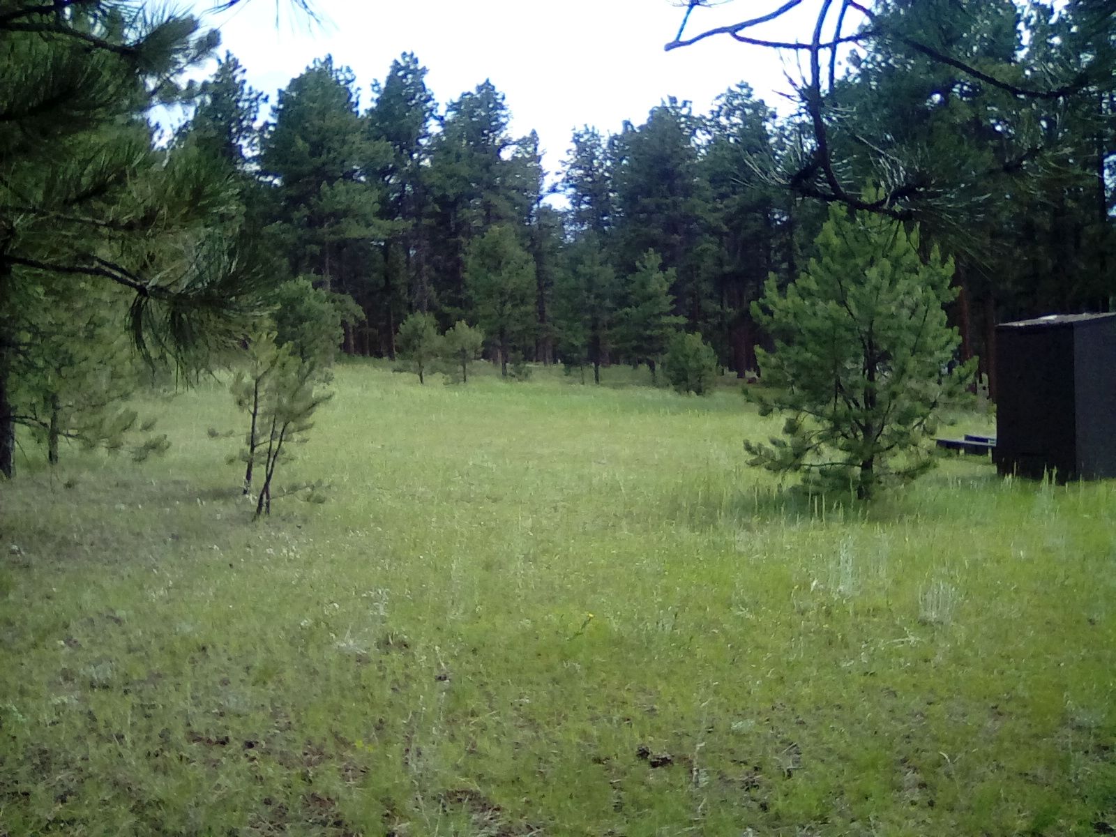 Cow Pasture Pool : 3 Steps - Instructables