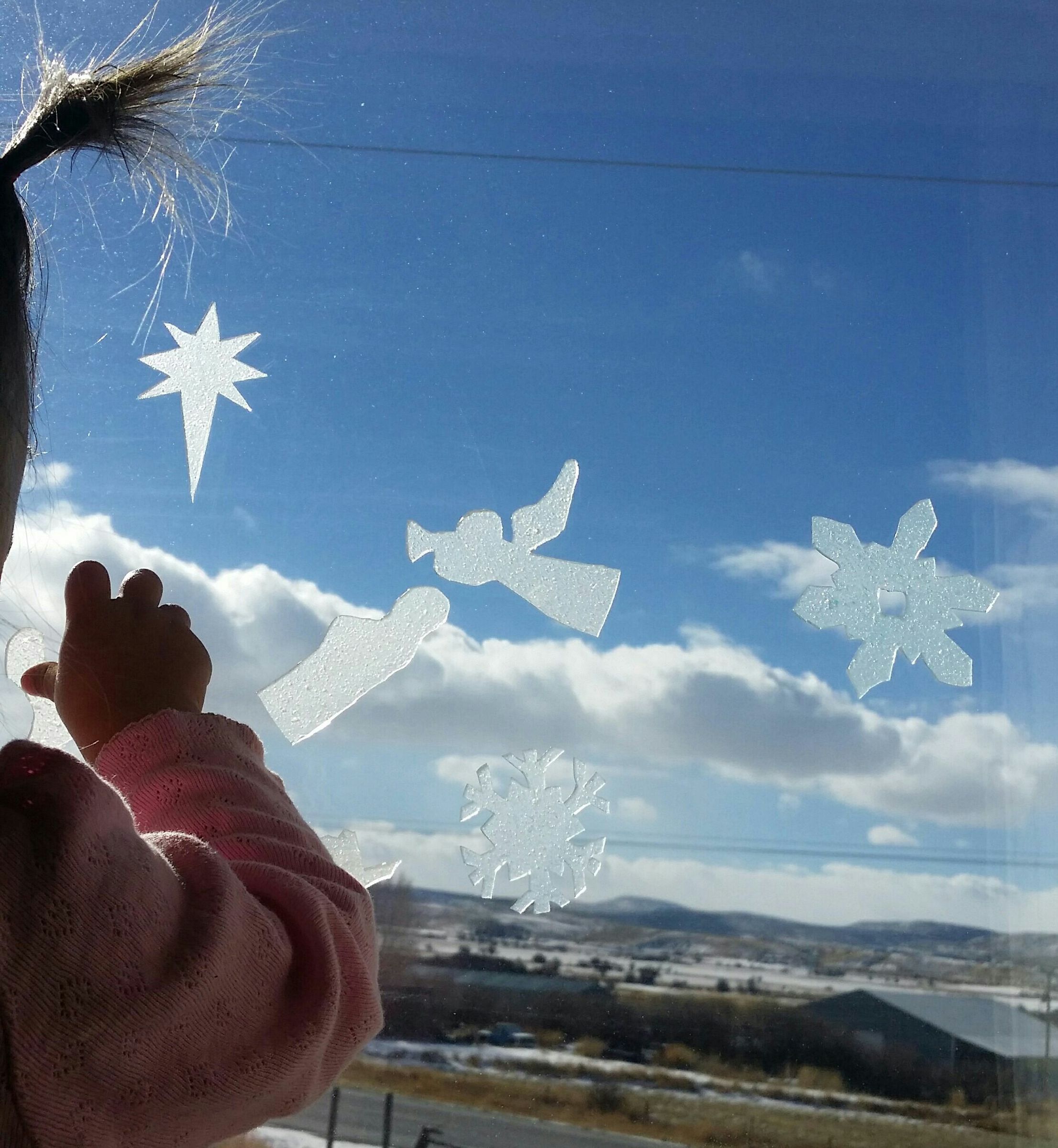 Window/Refrigerator Clings : 4 Steps (with Pictures) - Instructables