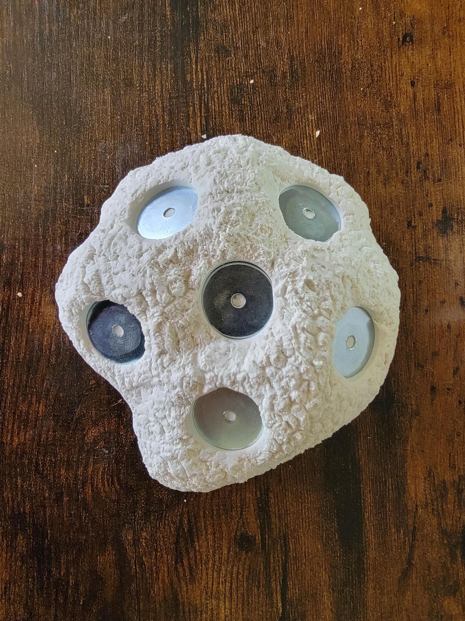 Magnetic Naturalistic Frag Rack : 6 Steps (with Pictures) - Instructables