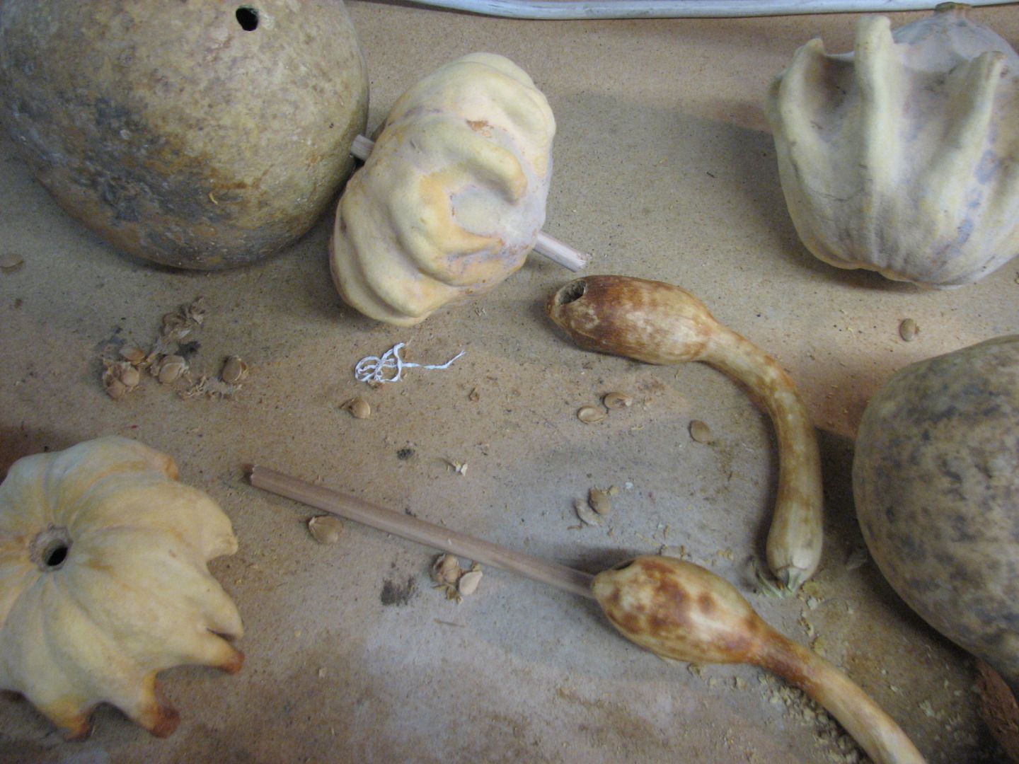 Crazy Gourd Bird : 5 Steps (with Pictures) - Instructables