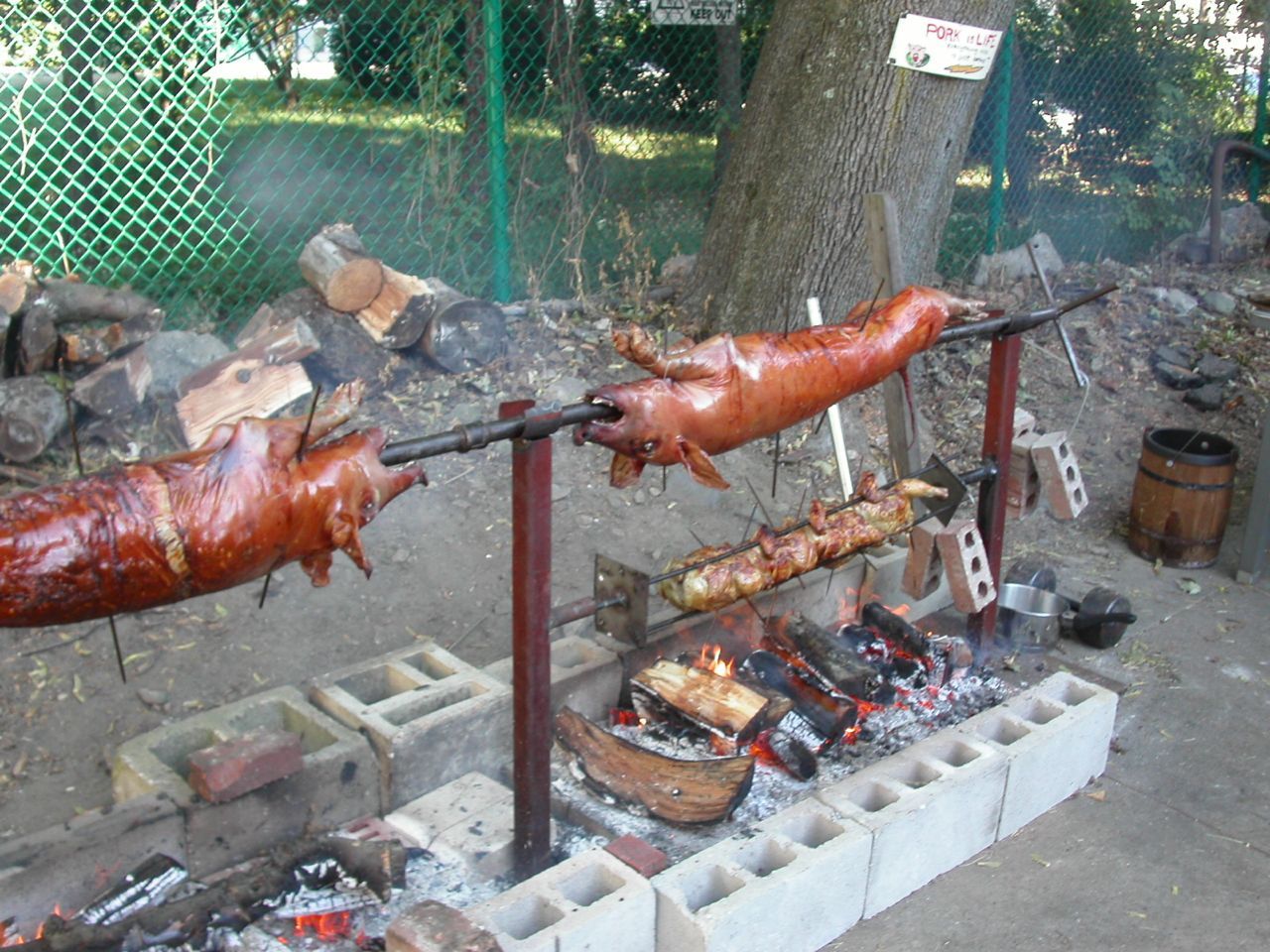 How to Roast a Pig : 20 Steps (with Pictures) - Instructables