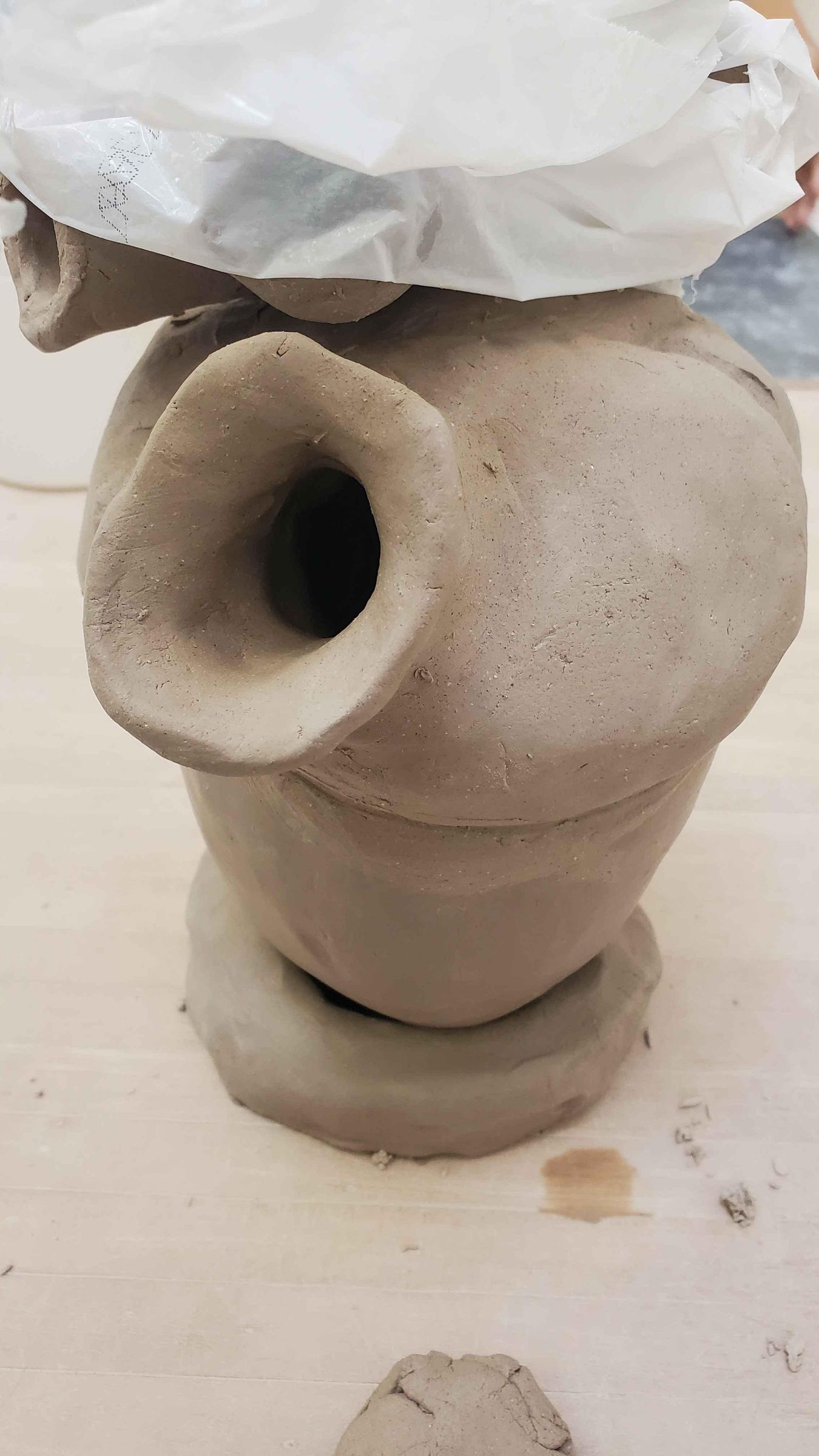 Anatomically Correct Heart - Clay : 11 Steps (with Pictures ...