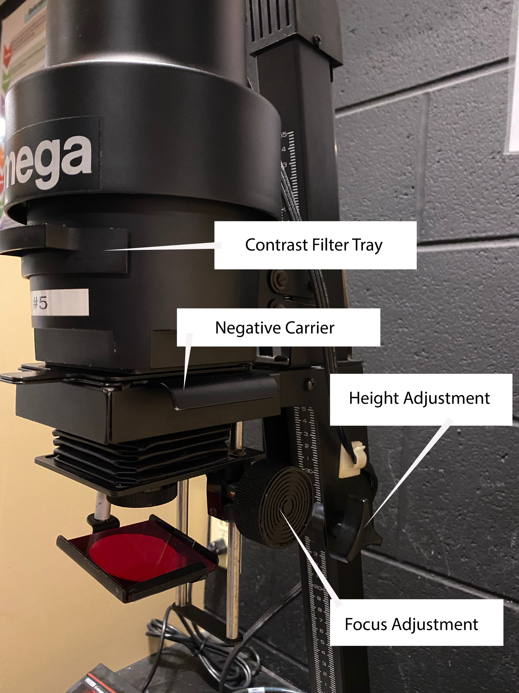 Making Enlargements in the Darkroom : 7 Steps (with Pictures ...