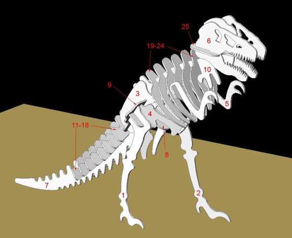 Build a 6'-0" Tall Wooden T-Rex Model : 7 Steps (with Pictures ...