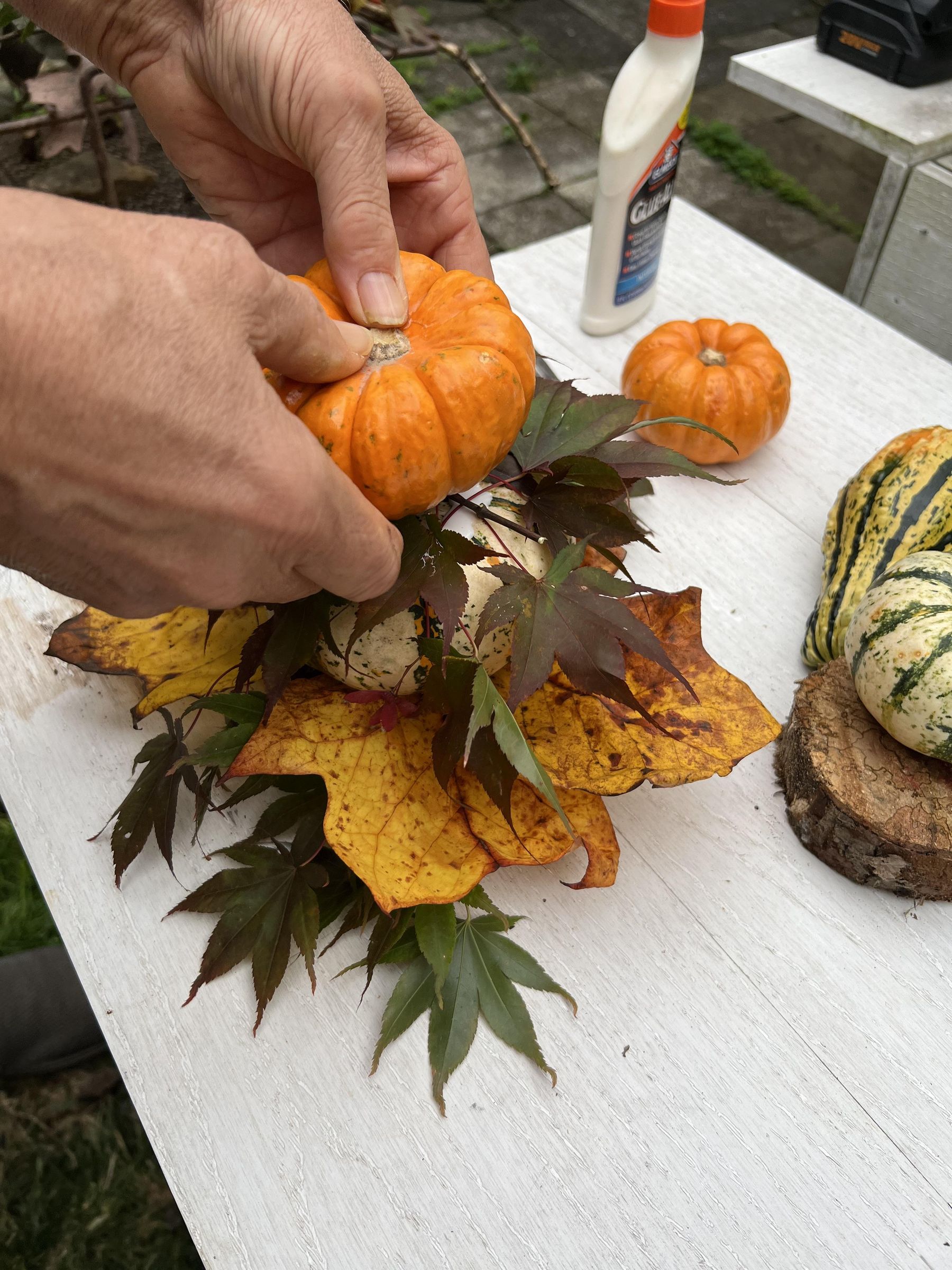 Make Festive Gourd Trees : 12 Steps (with Pictures) - Instructables