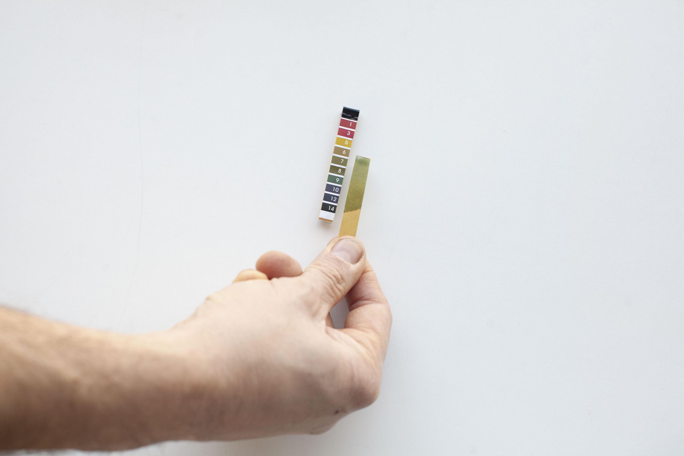 Goldenrod Paper Chemistry Painting : 4 Steps (with Pictures ...