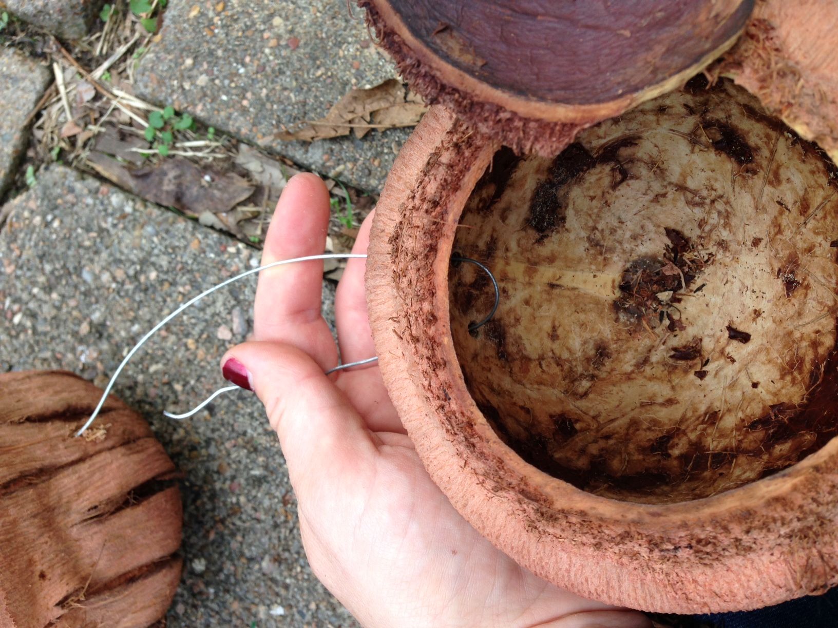 How to Spoil Your Hermit Crabs: Coconut Castle : 8 Steps - Instructables
