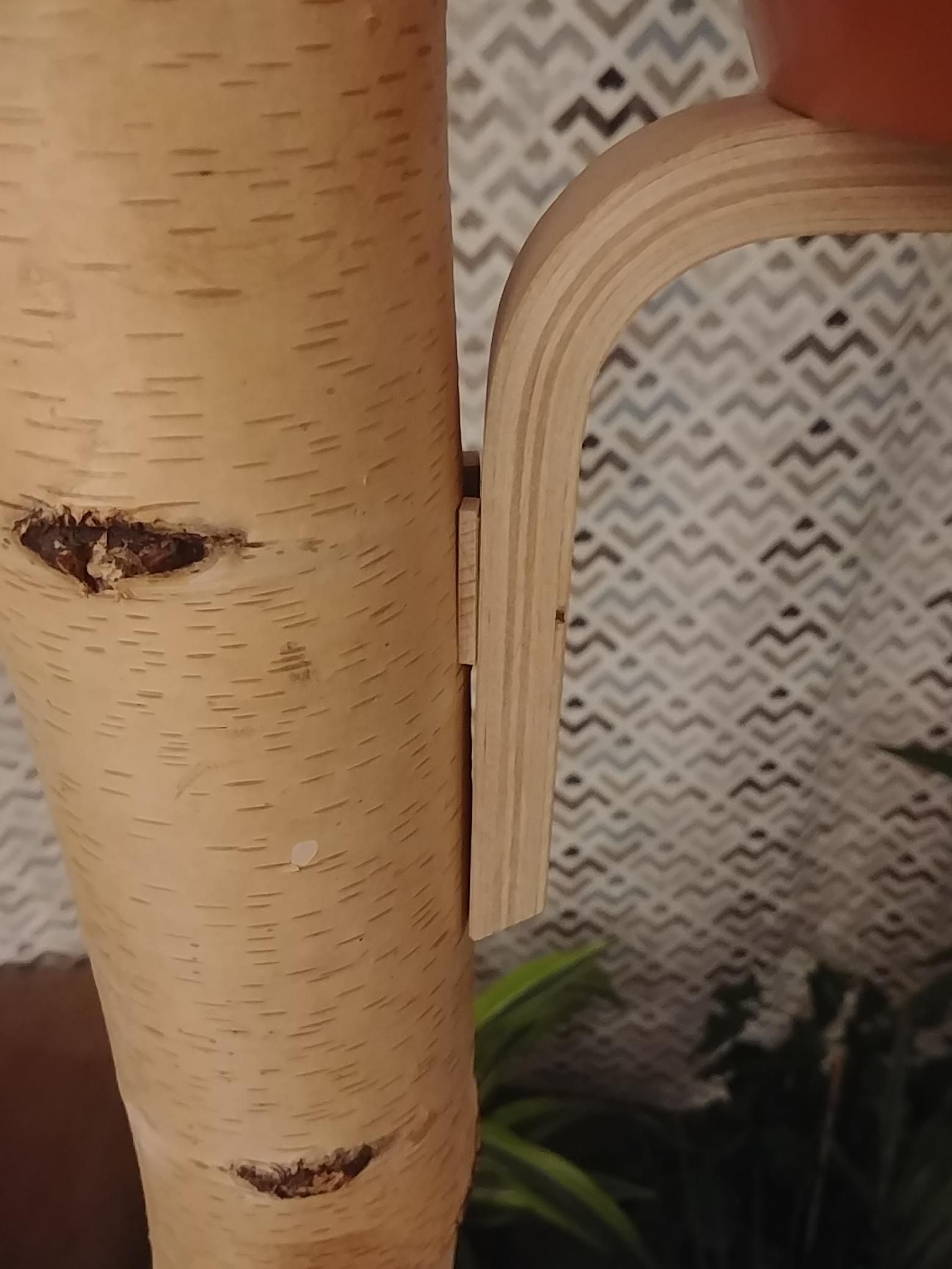 Birch Tree Stand : 4 Steps (with Pictures) - Instructables