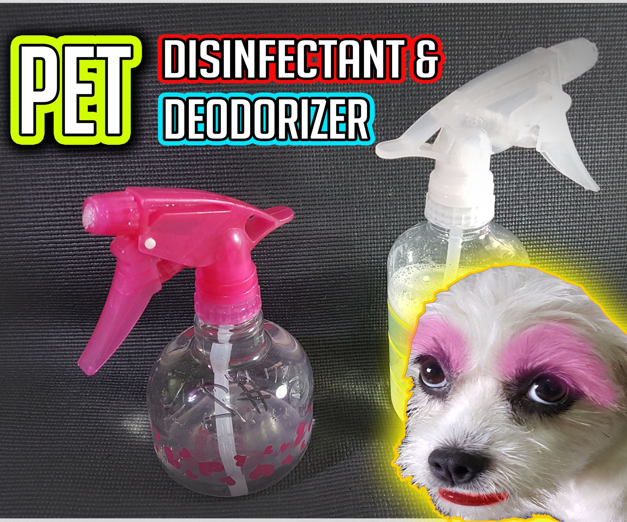Pet Urine Disinfectant & Deodorizer : 4 Steps (with Pictures ...