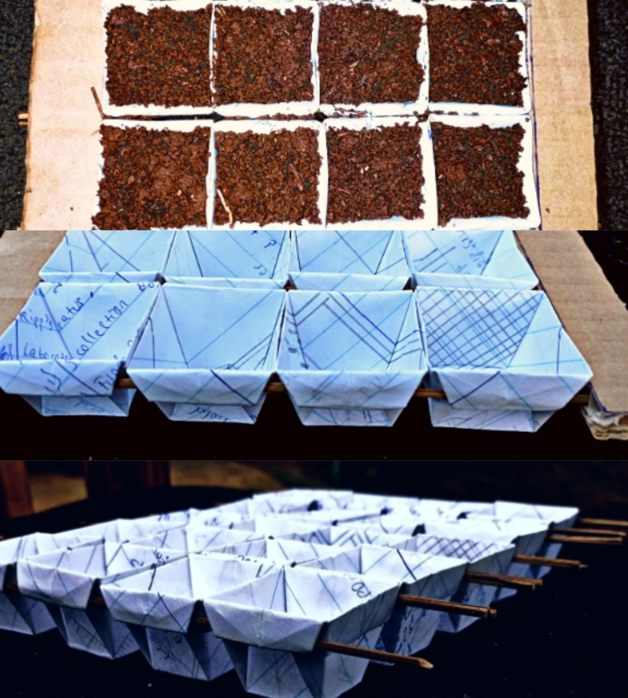 Origami: Paper Seedling Tray. : 10 Steps (with Pictures) - Instructables