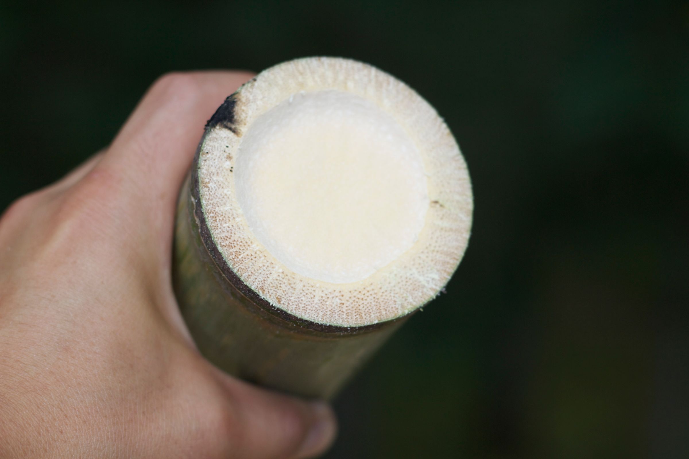 Clean, Chic Bamboo Cups : 6 Steps (with Pictures) - Instructables