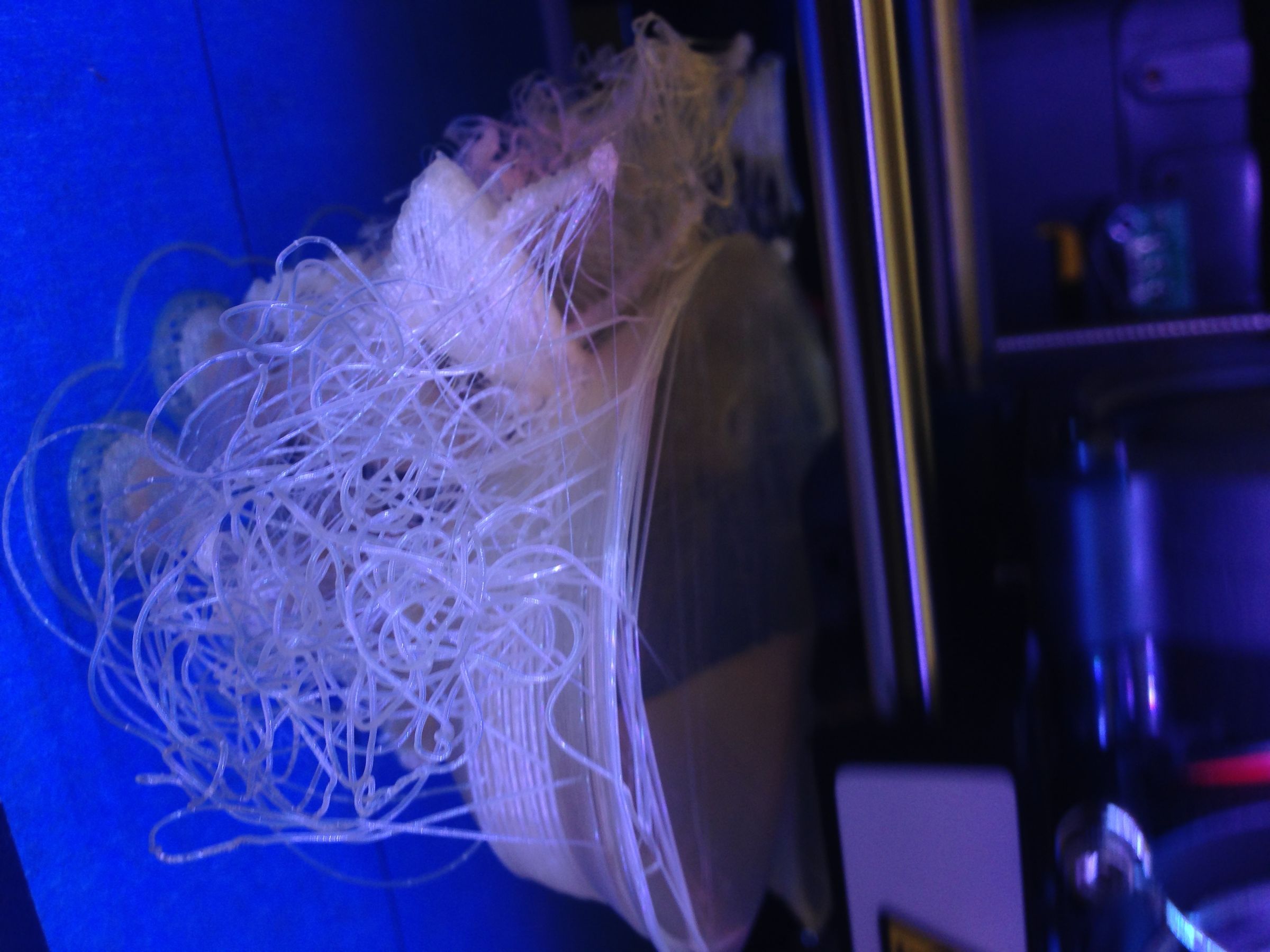 3D Print Complex Overhangs With Meshmixer : 4 Steps - Instructables