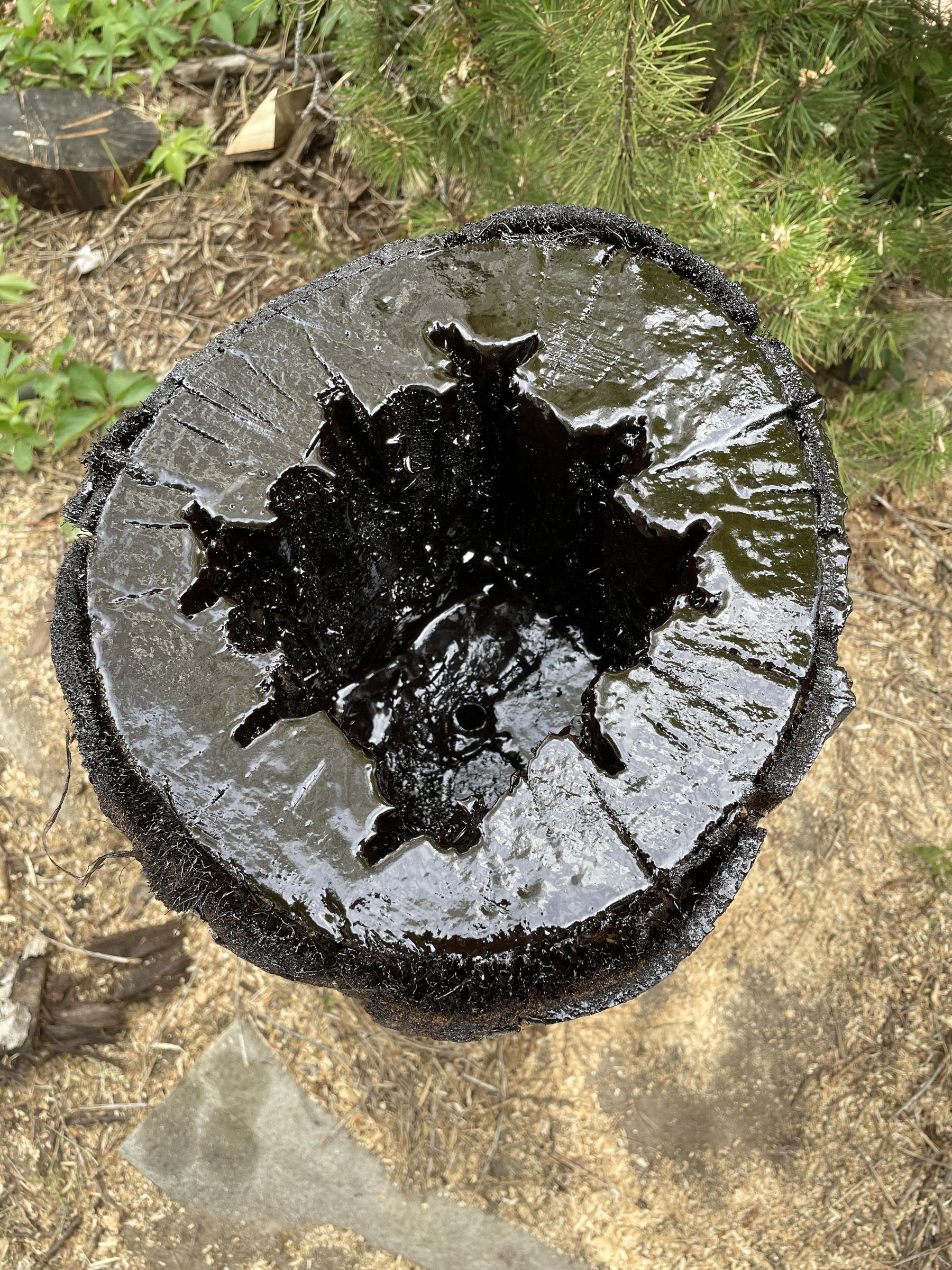 Transform a Tree Stump Into a Planter Box : 11 Steps (with Pictures ...