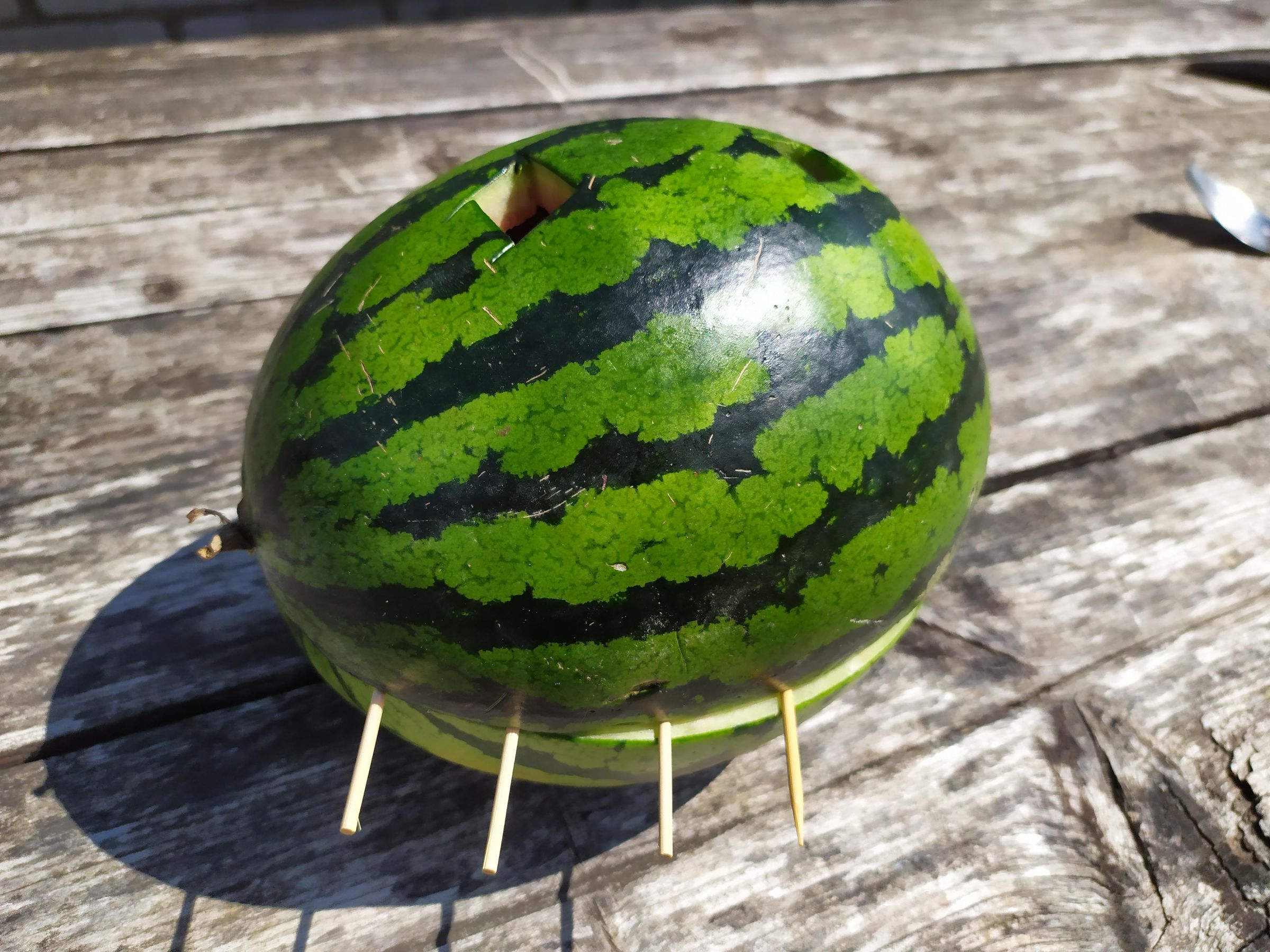 Watermelon BBQ : 5 Steps (with Pictures) - Instructables