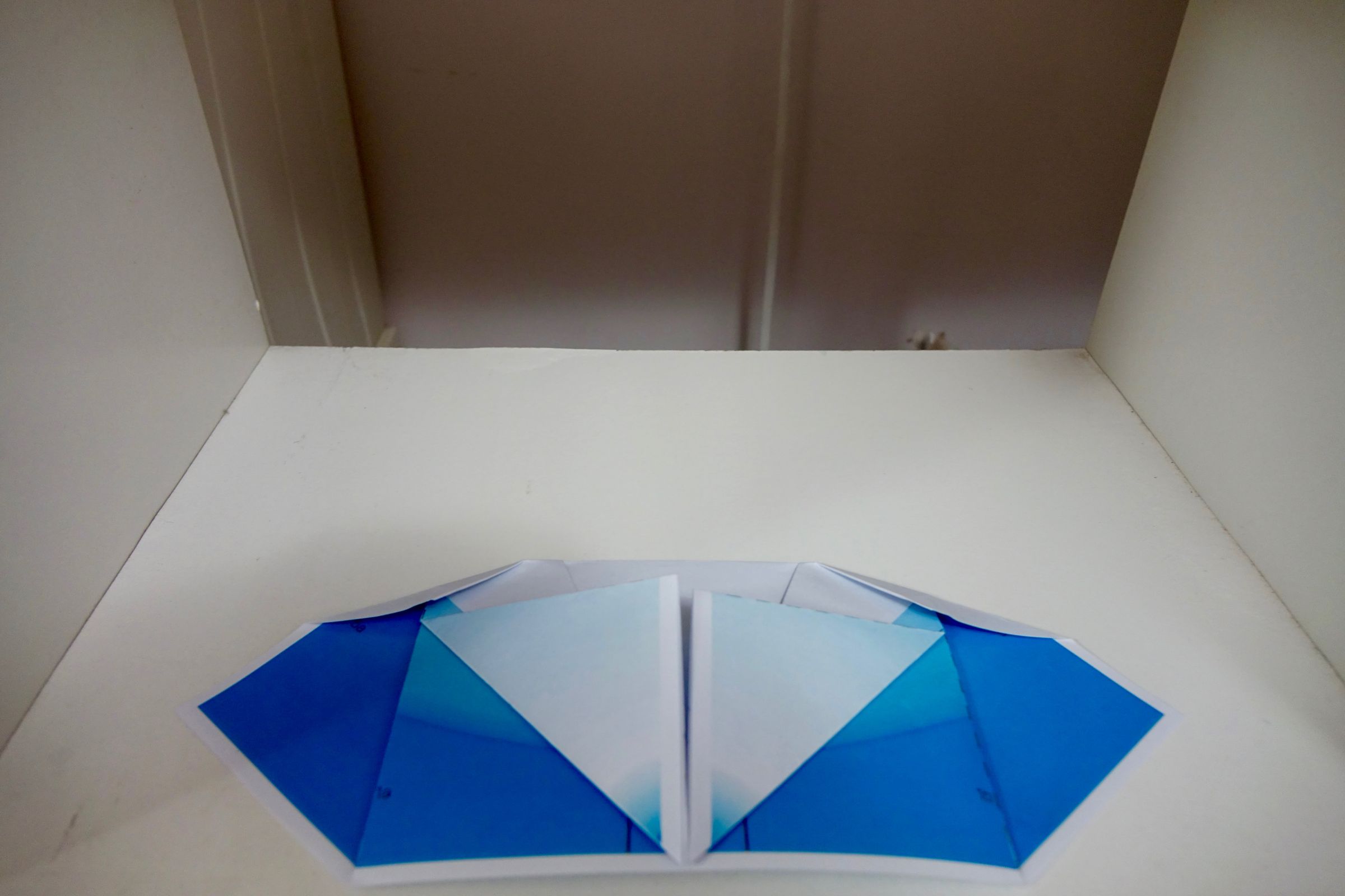 Flapping Paper Plane (Print Version) : 15 Steps (with Pictures ...