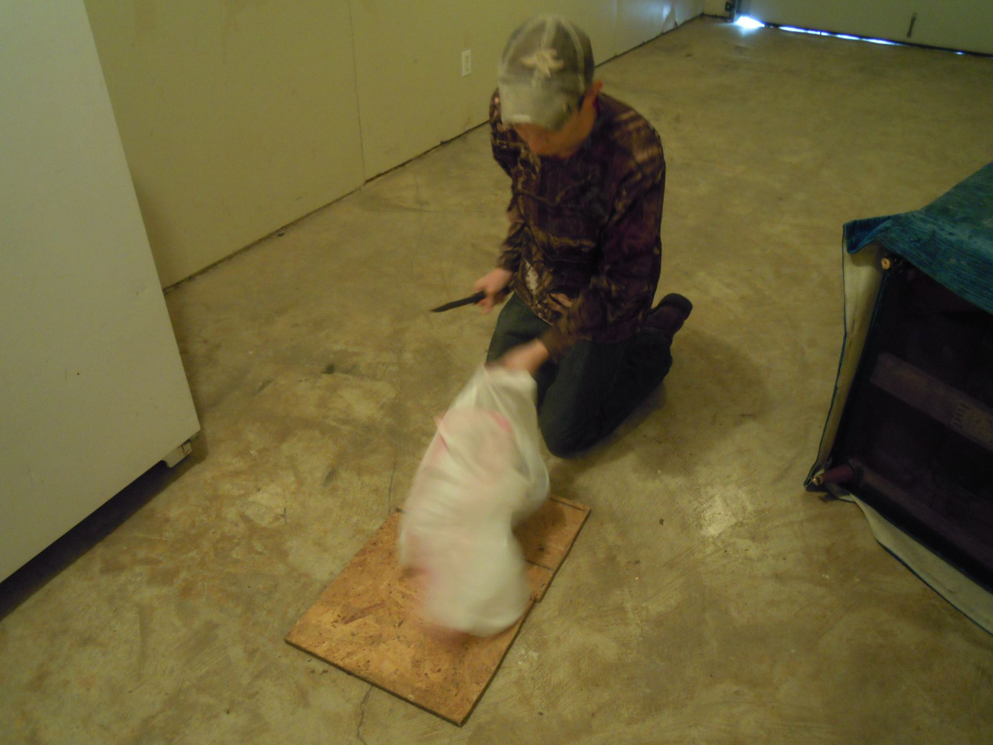 Roadkill Huntin' : 4 Steps - Instructables