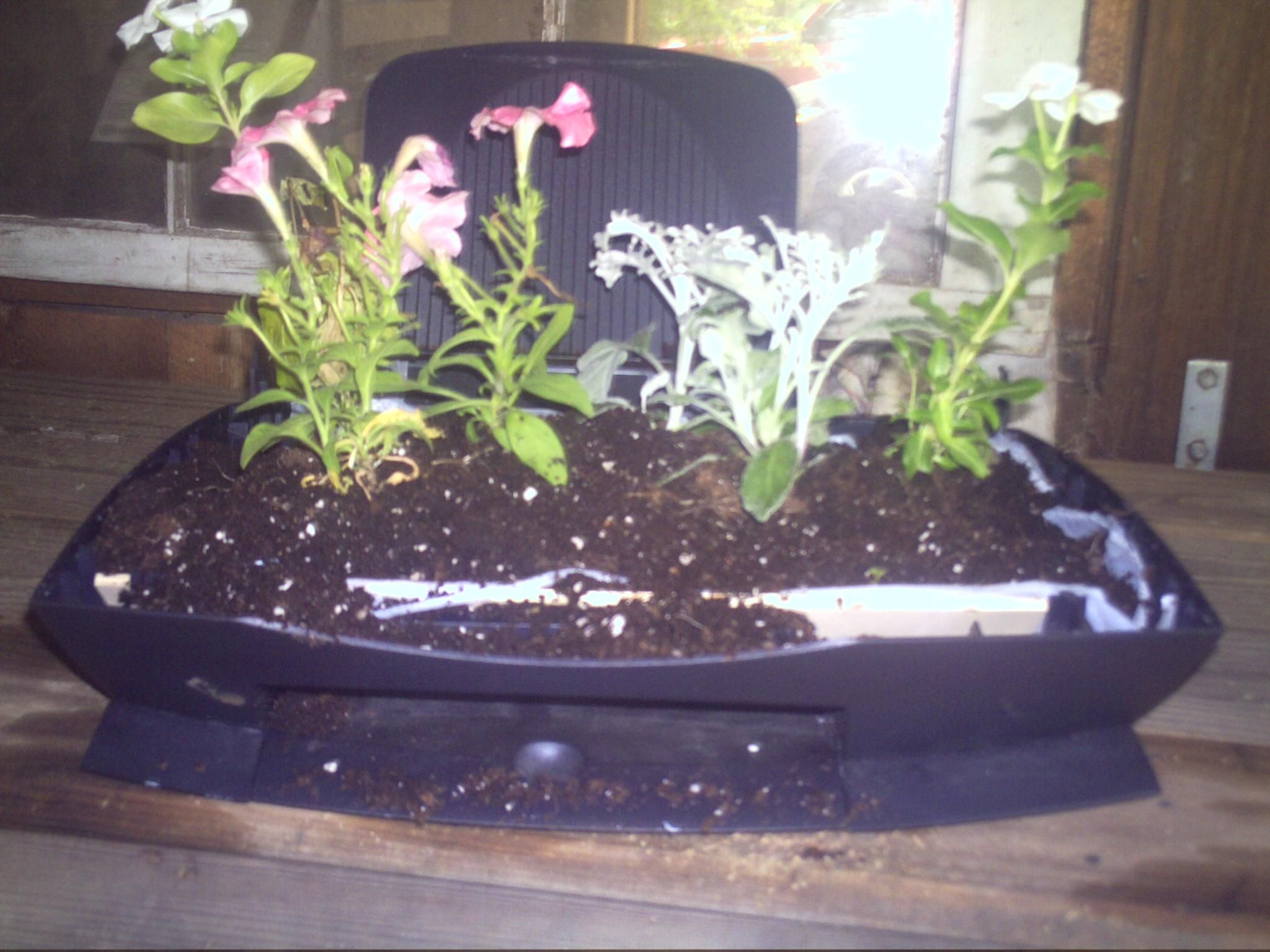 Printer-planter : 4 Steps - Instructables