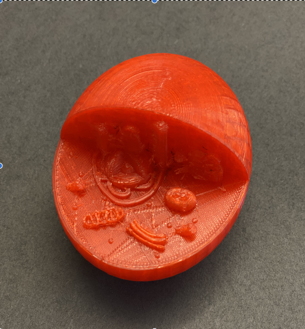 Parts of an Animal Cell : 8 Steps (with Pictures) - Instructables