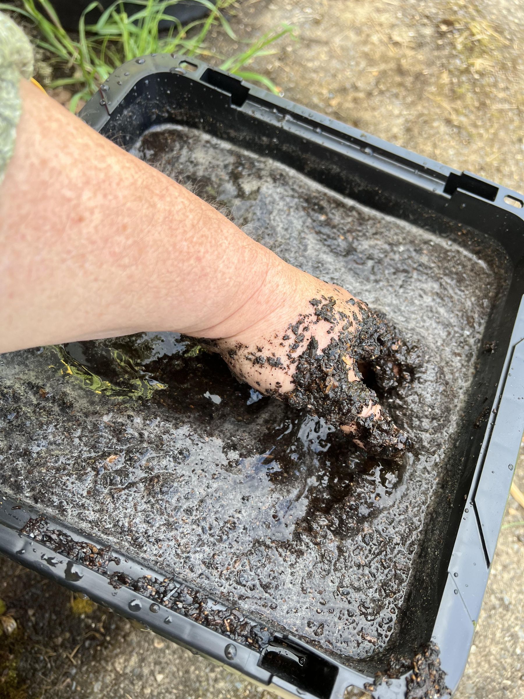 Manure Tea or Compost Tea : 4 Steps - Instructables