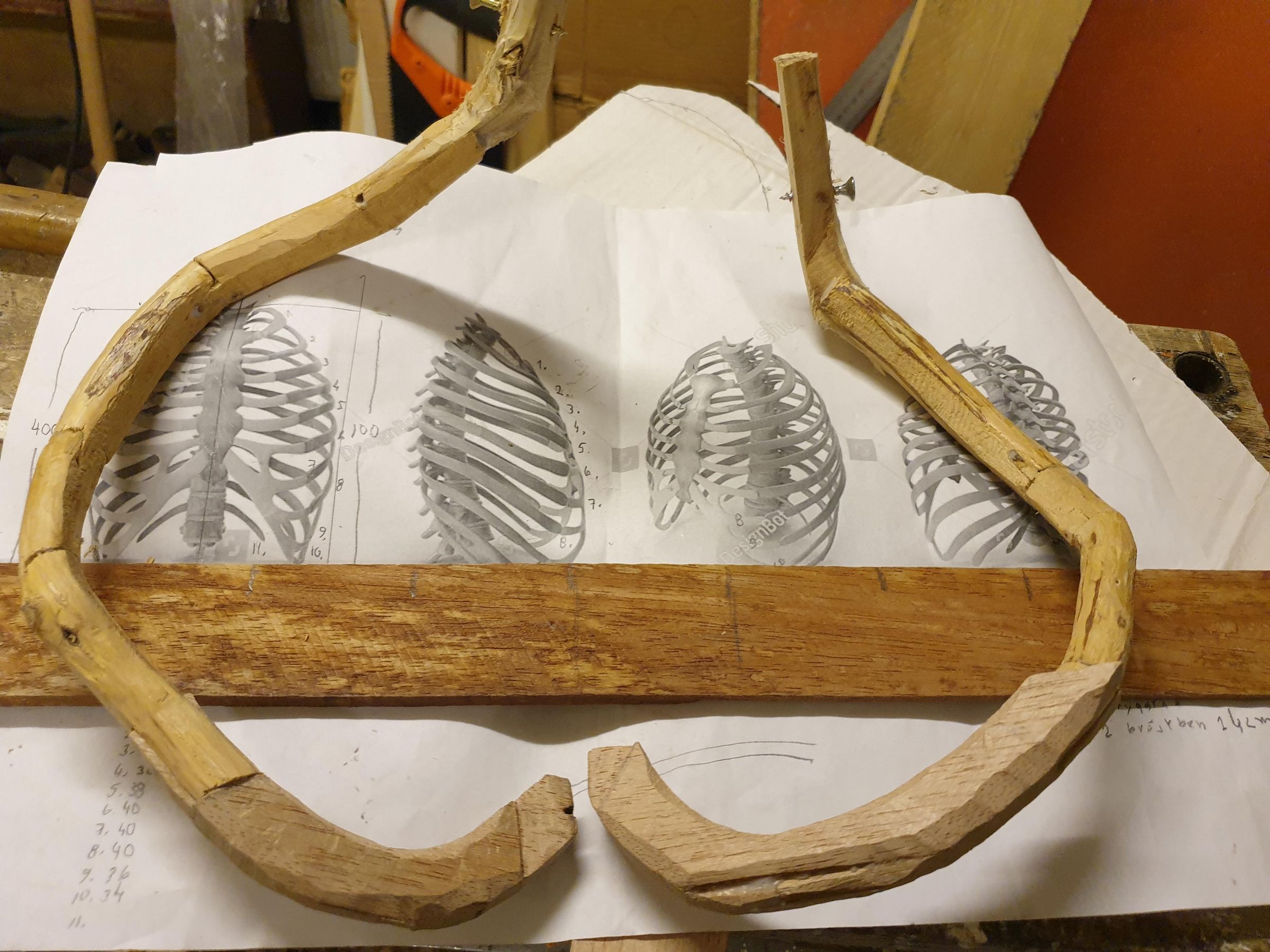 Handmade Wooden Ribcage : 8 Steps (with Pictures) - Instructables