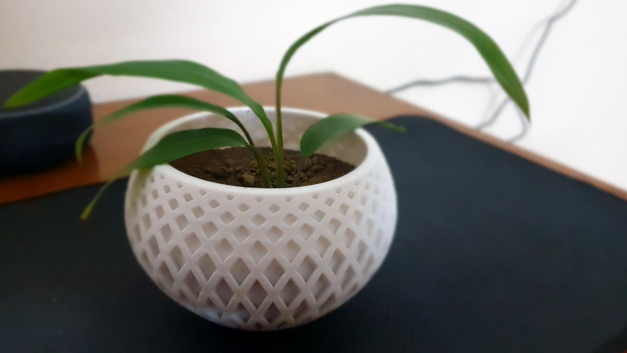 DIY ᐈ 3D Printed Indoor Planters in Just 10 Steps! [ Fusion 360 ] : 12 ...