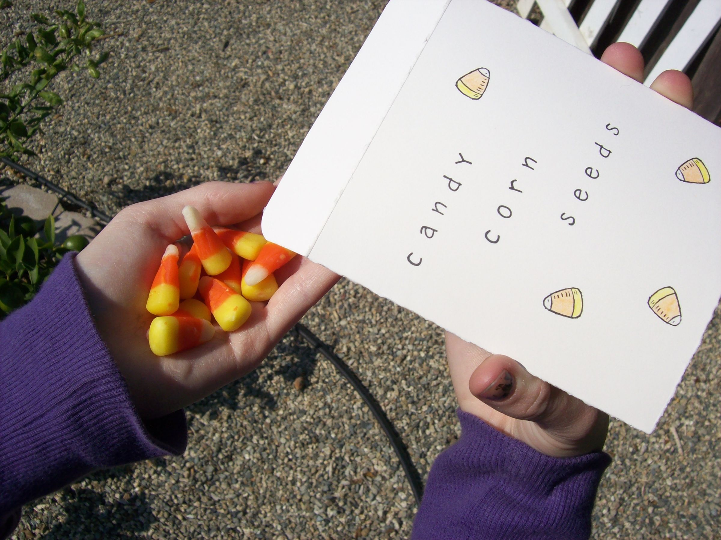 Candy Corn : 9 Steps (with Pictures) - Instructables