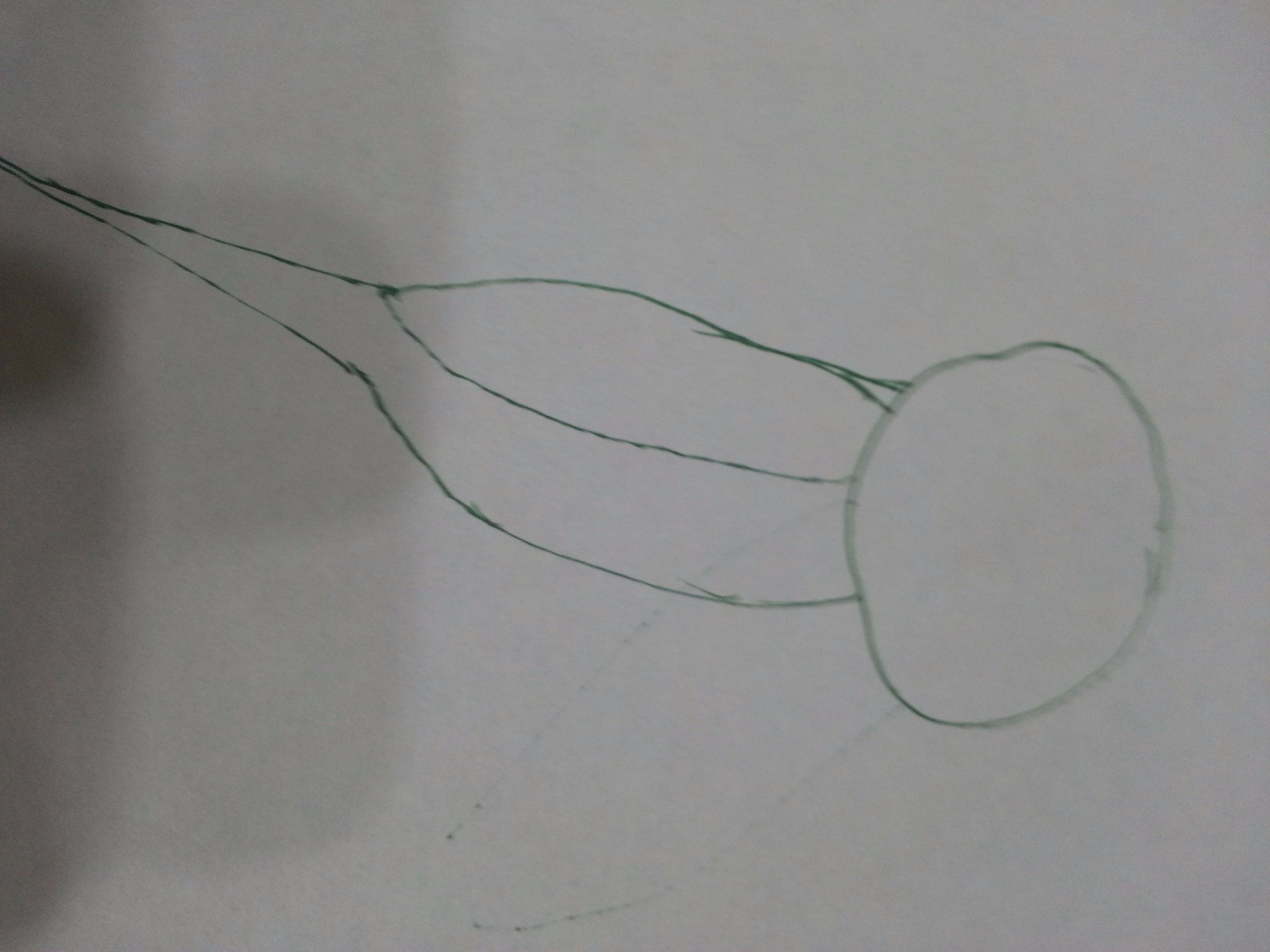 How to Draw a Budgie : 6 Steps - Instructables