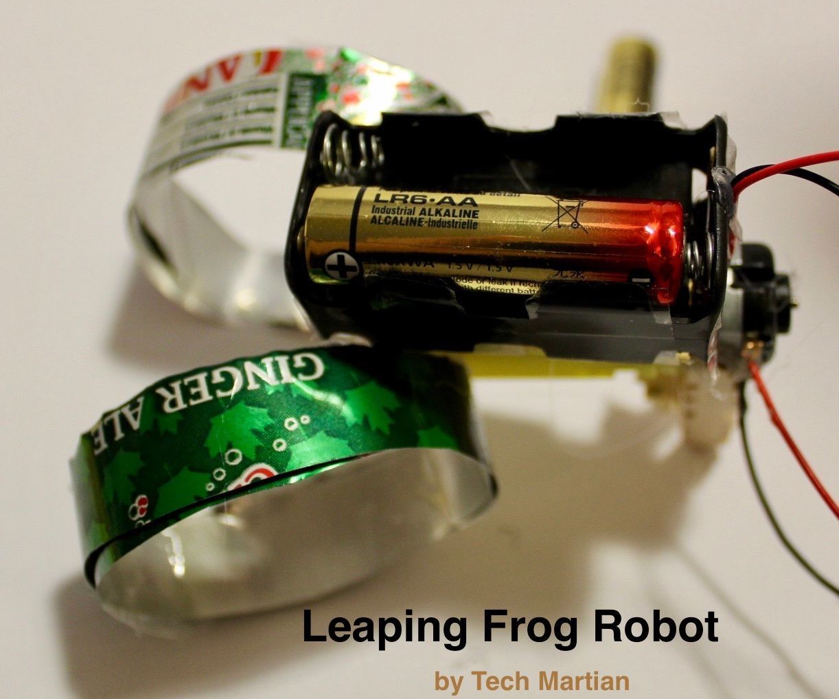 Simple Leaping Robot Frog : 10 Steps - Instructables
