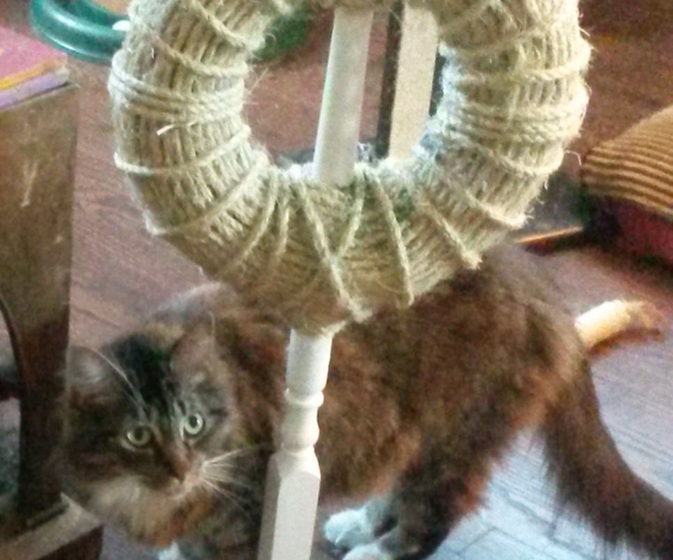 Cat Scratch Post : 9 Steps (with Pictures) - Instructables