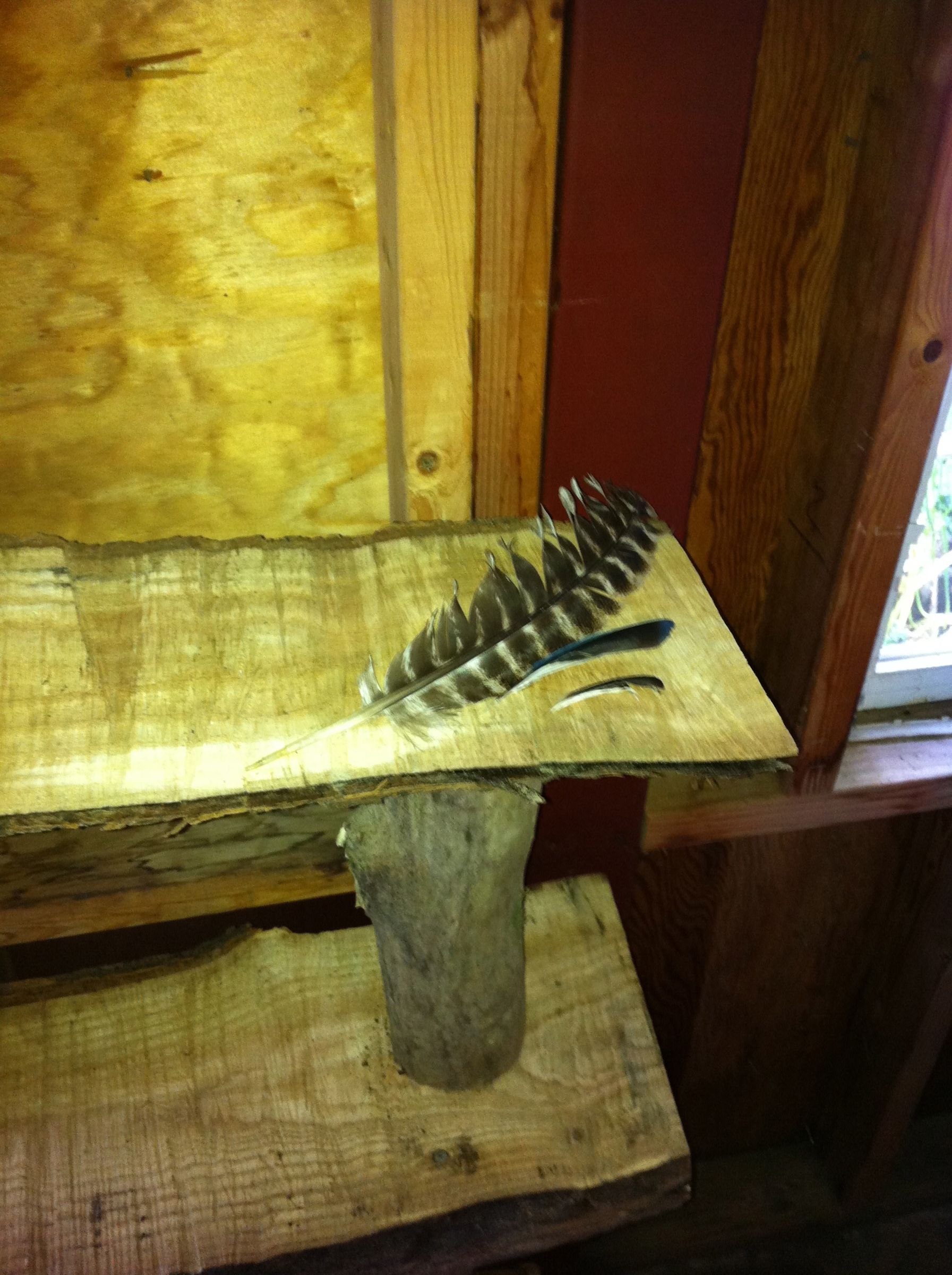 Museum Shelf Project : 4 Steps (with Pictures) - Instructables