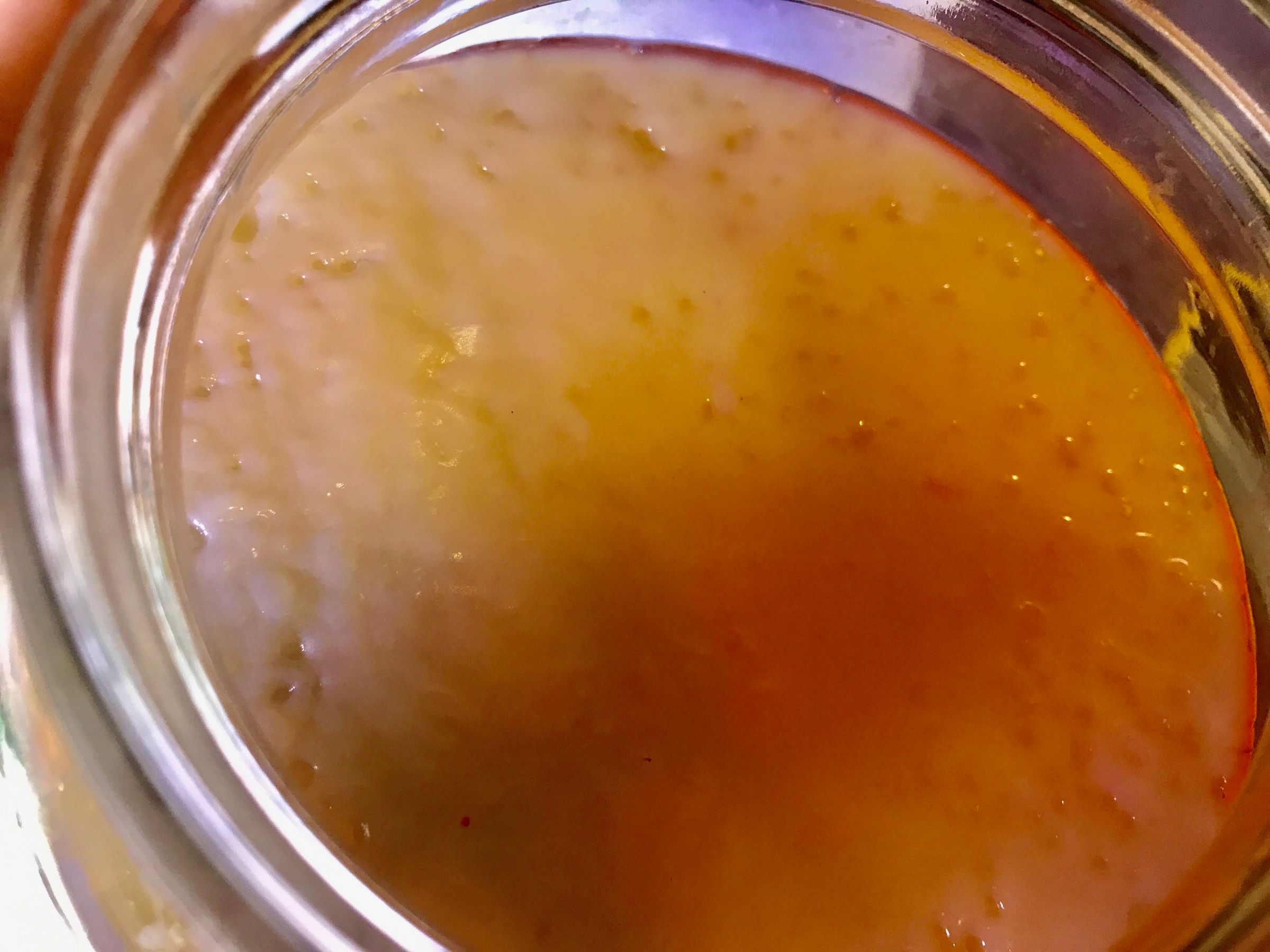 How to Grow a SCOBY : 4 Steps (with Pictures) - Instructables