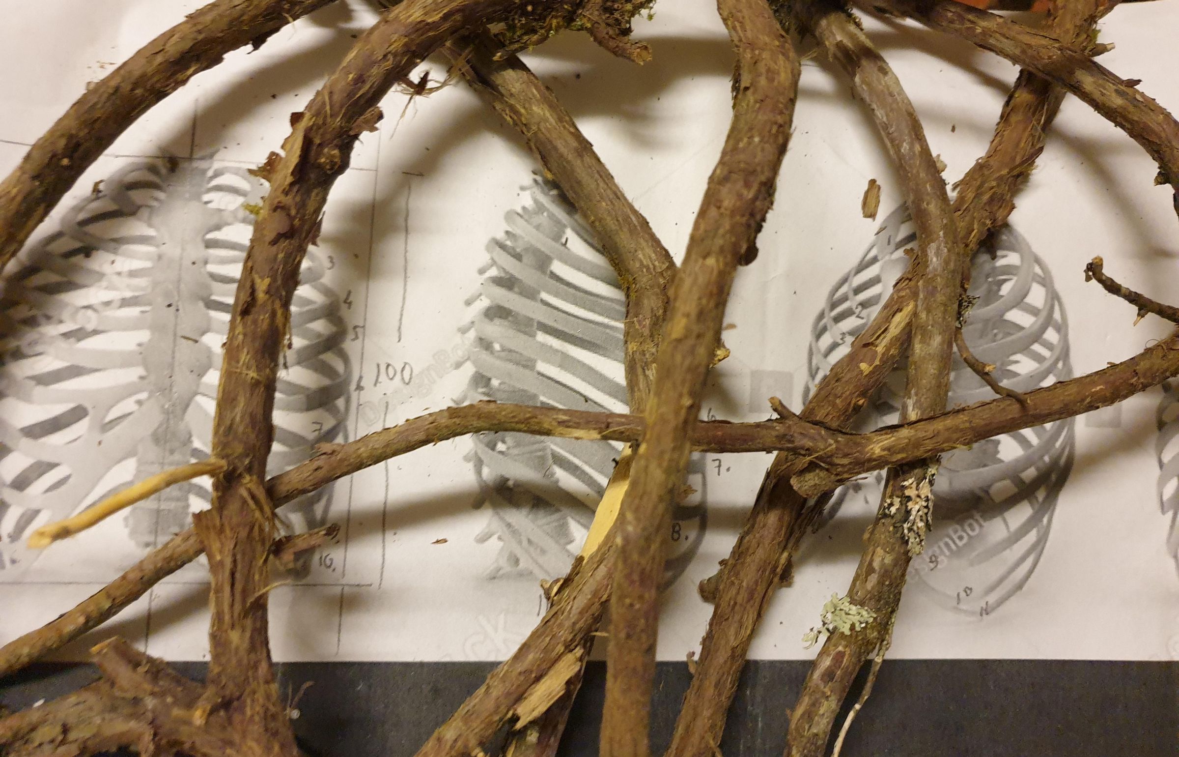 Handmade Wooden Ribcage : 8 Steps (with Pictures) - Instructables