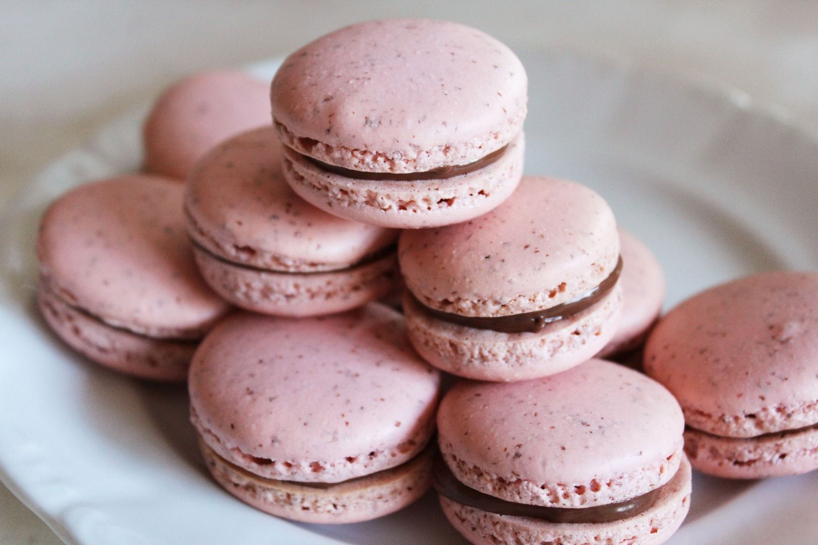 Passable (Beginner's) Macarons : 12 Steps (with Pictures) - Instructables
