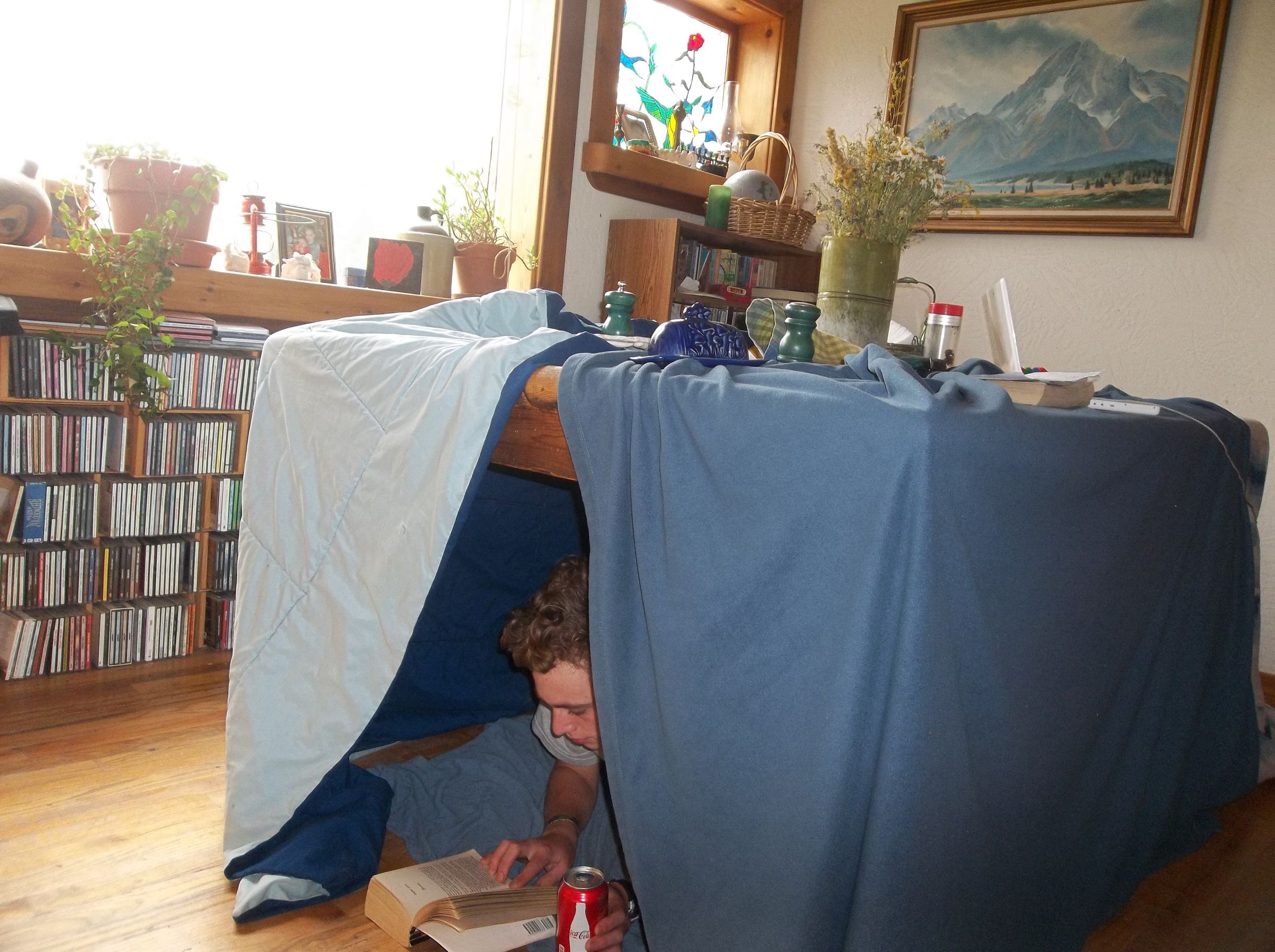 How to Improvise a Fort : 4 Steps - Instructables