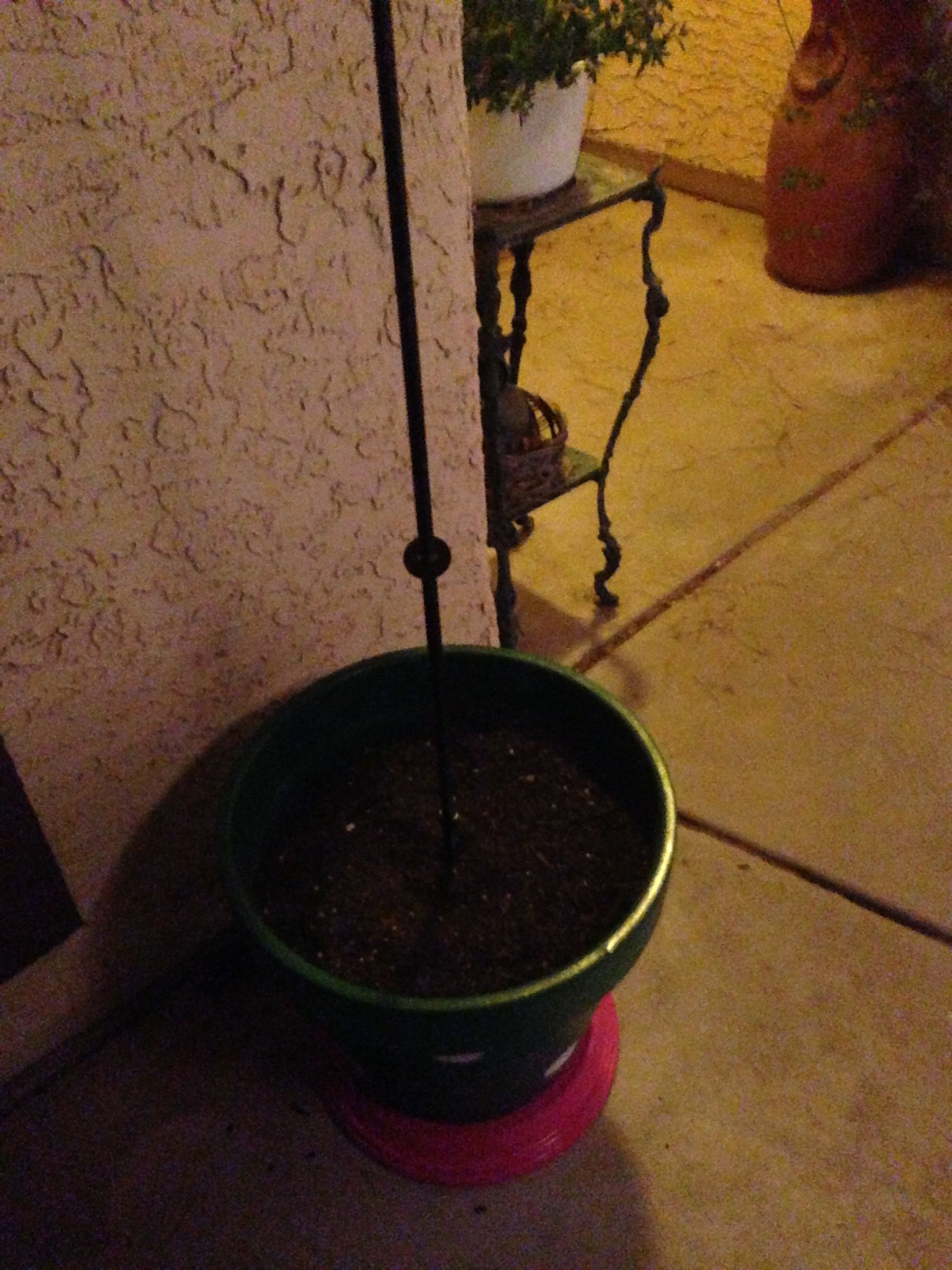 The Flower Tower : 12 Steps (with Pictures) - Instructables