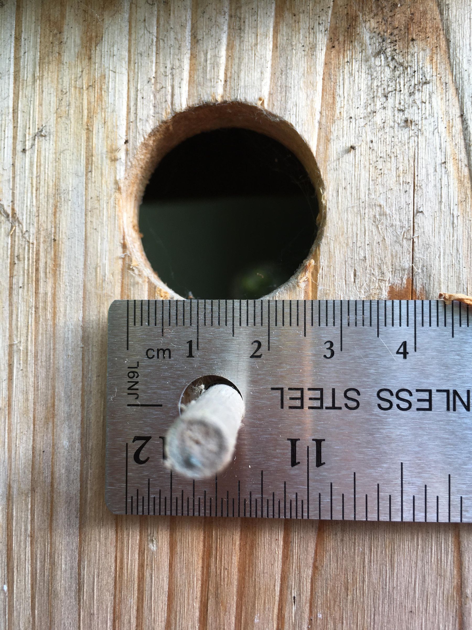Squirrel Proof Bird Feeder Challenge : 43 Steps (with Pictures ...