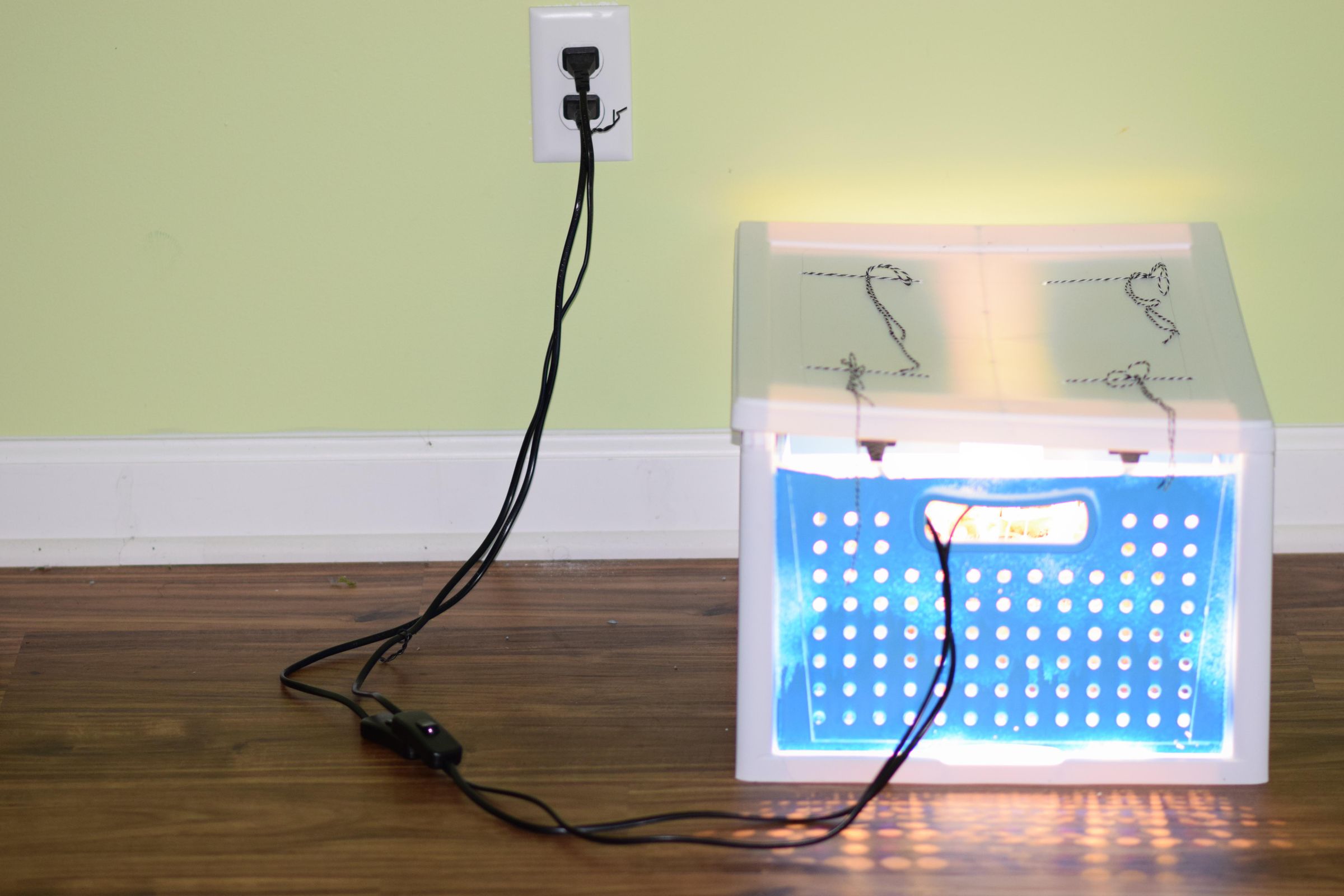 DIY Grow Light and Grow Strong Seedlings : 7 Steps (with Pictures ...