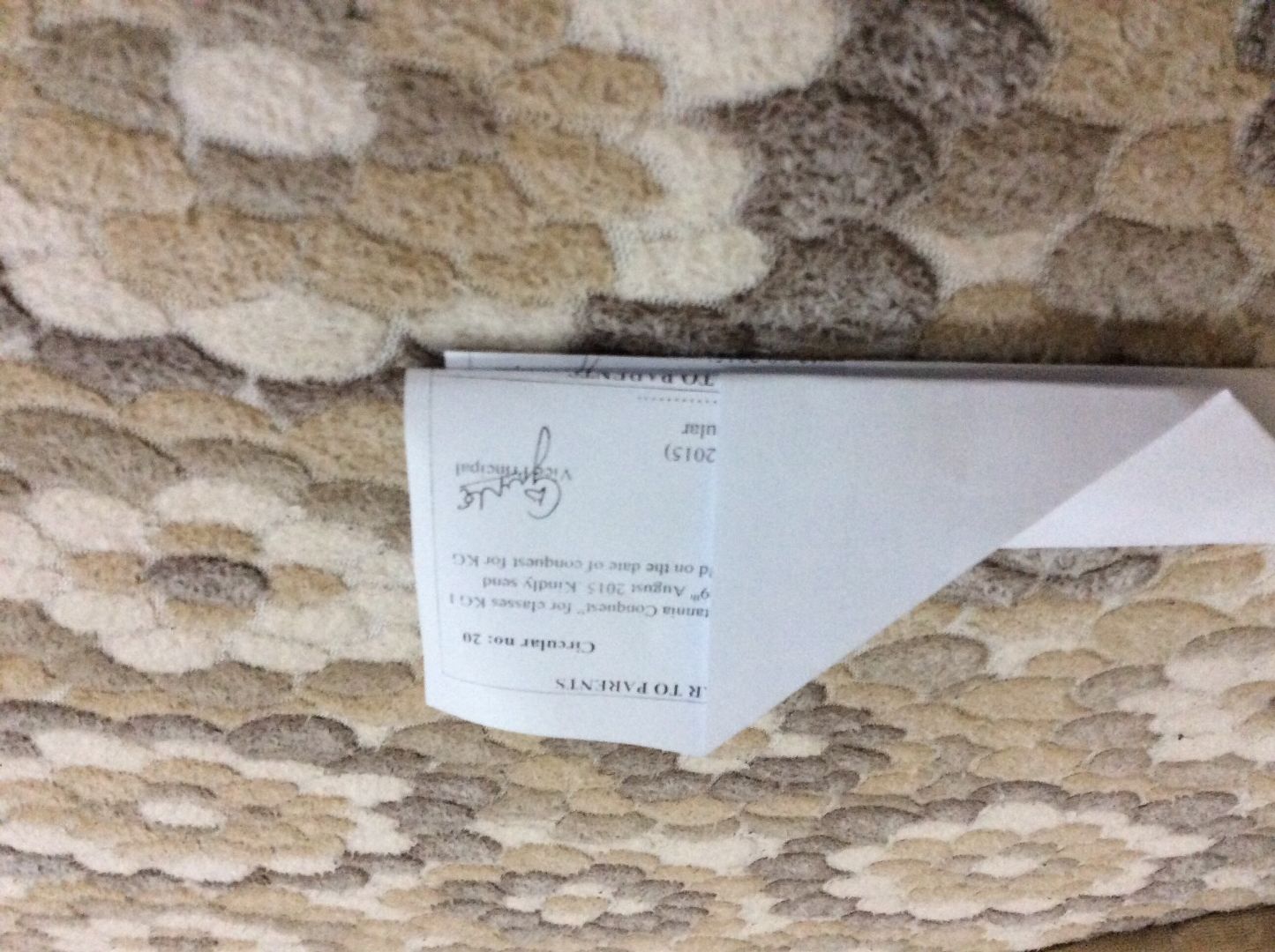 How to Make Flapper 1 : 10 Steps - Instructables