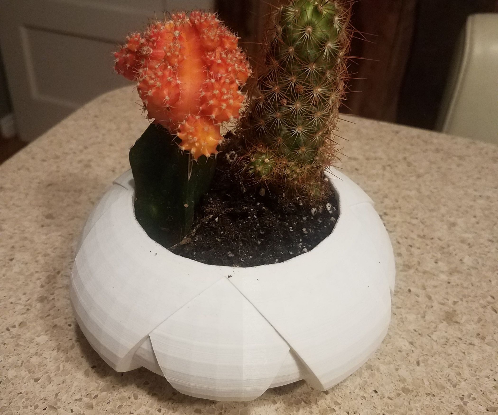3D Printed Planter W/Tinkercad : 5 Steps (with Pictures) - Instructables