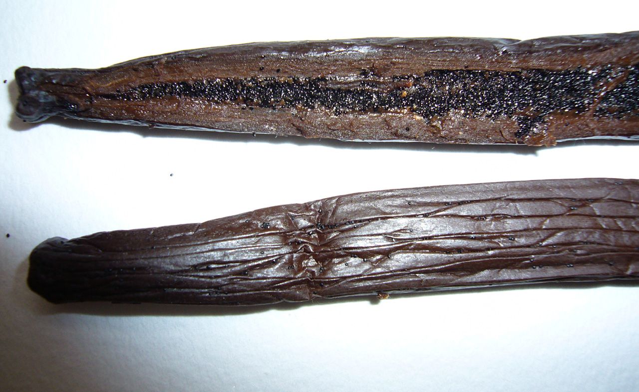 Make Vanilla Extract : 23 Steps (with Pictures) - Instructables
