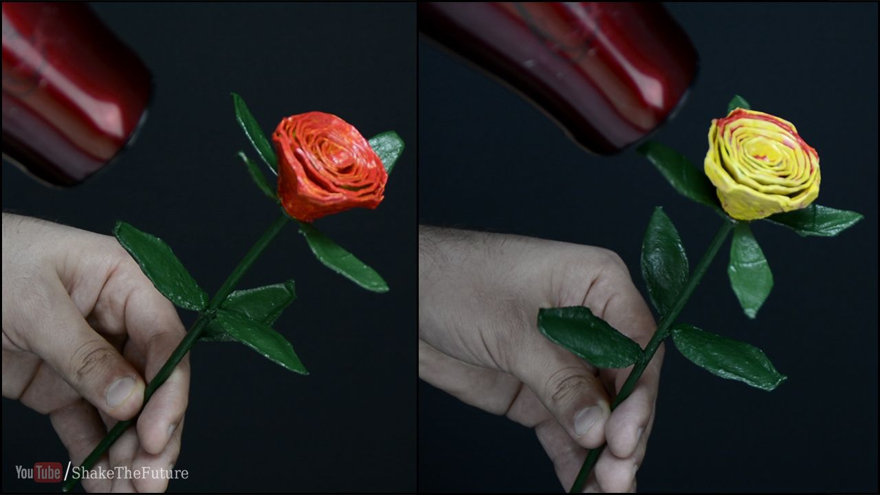 The Color Changing Rose : 9 Steps (with Pictures) - Instructables