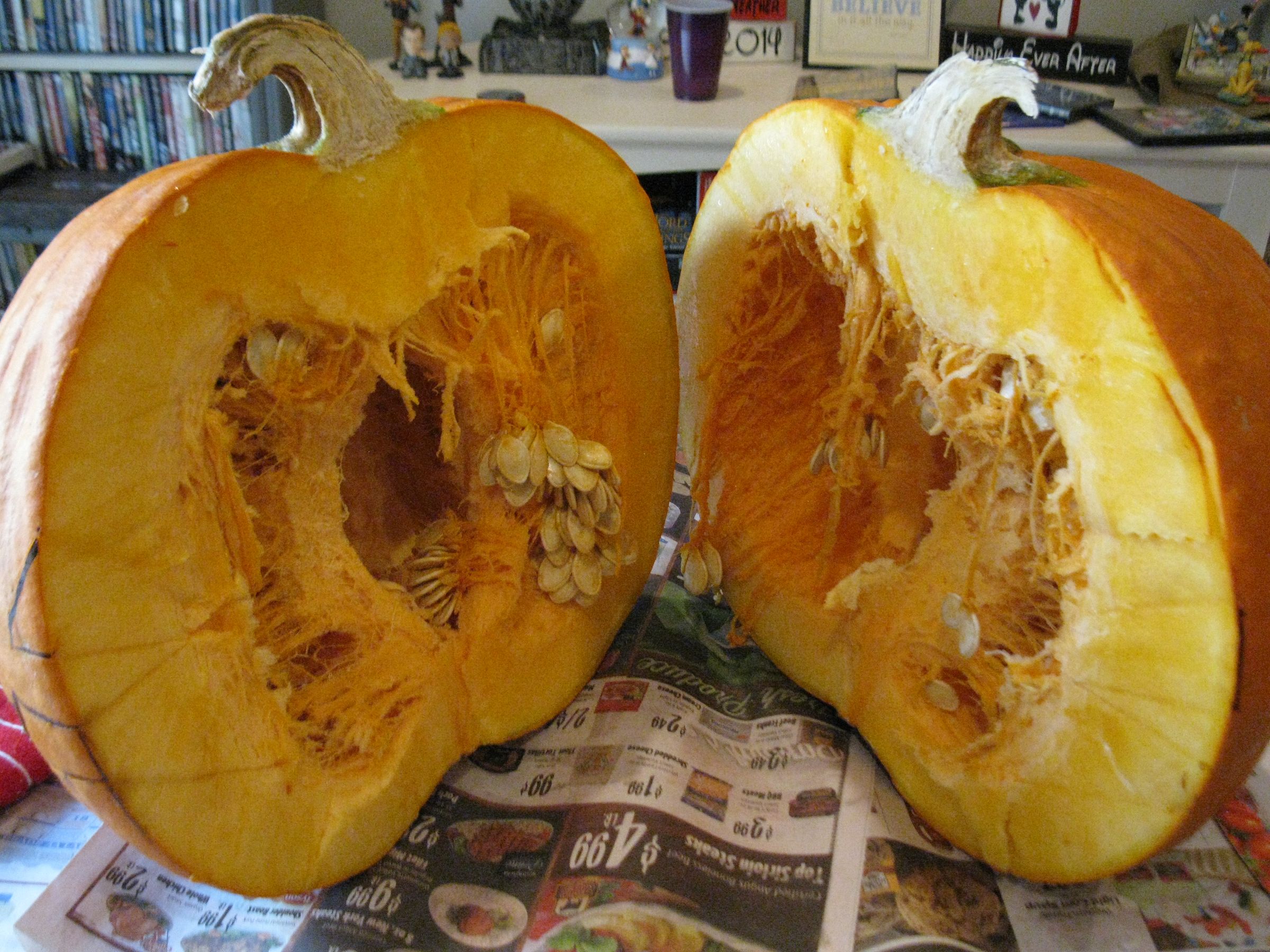 Anatomy of a Jack-O-Lantern : 3 Steps (with Pictures) - Instructables