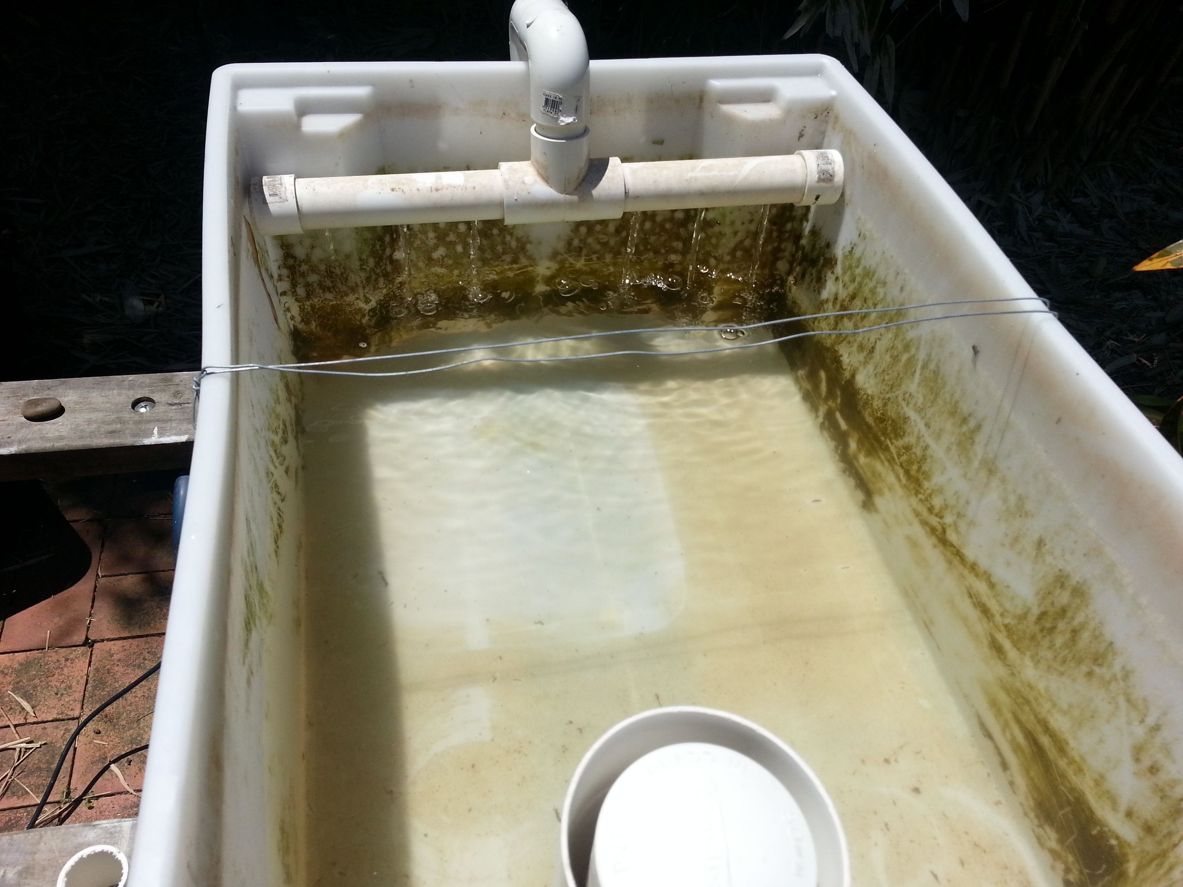 Simple Arduino Controlled Aquaponic System : 8 Steps - Instructables